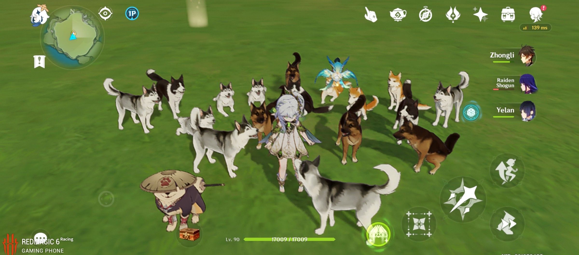 Love dogs.. Genshin Impact | HoYoLAB