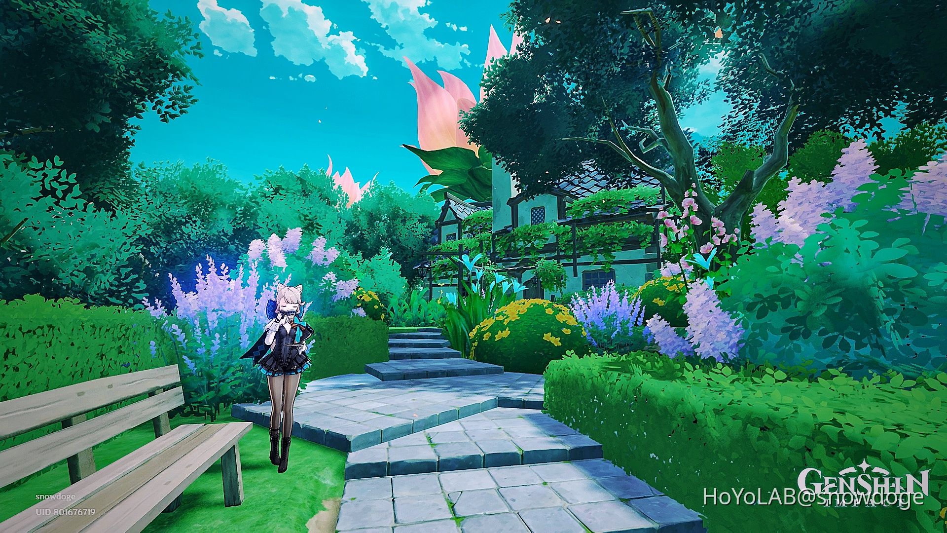 Genshin Scenery Diary #1 Genshin Impact | HoYoLAB