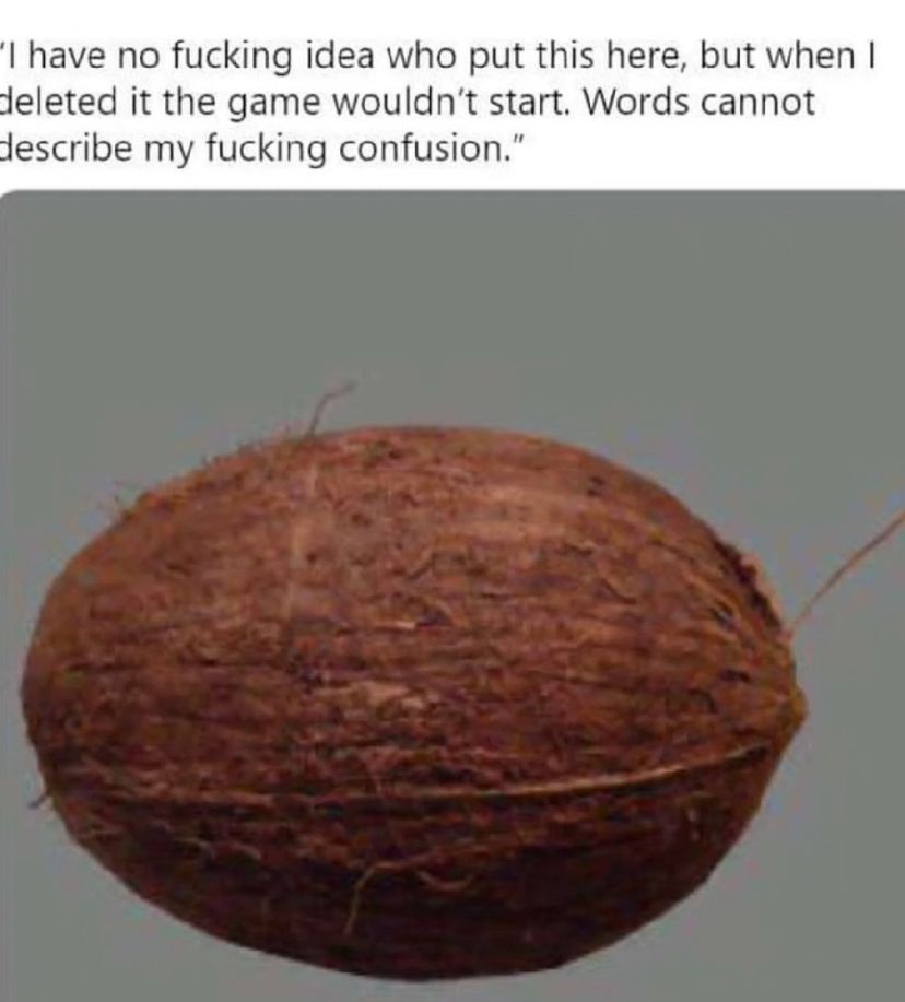The coconut is NOT a nut. | HoYoLAB