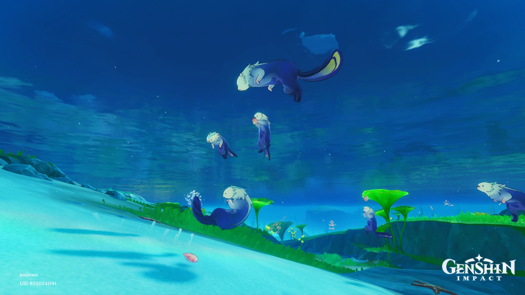 Trước chúng rái cá xin hãy ban cho con sự đáng iu của ngài. Genshin ...