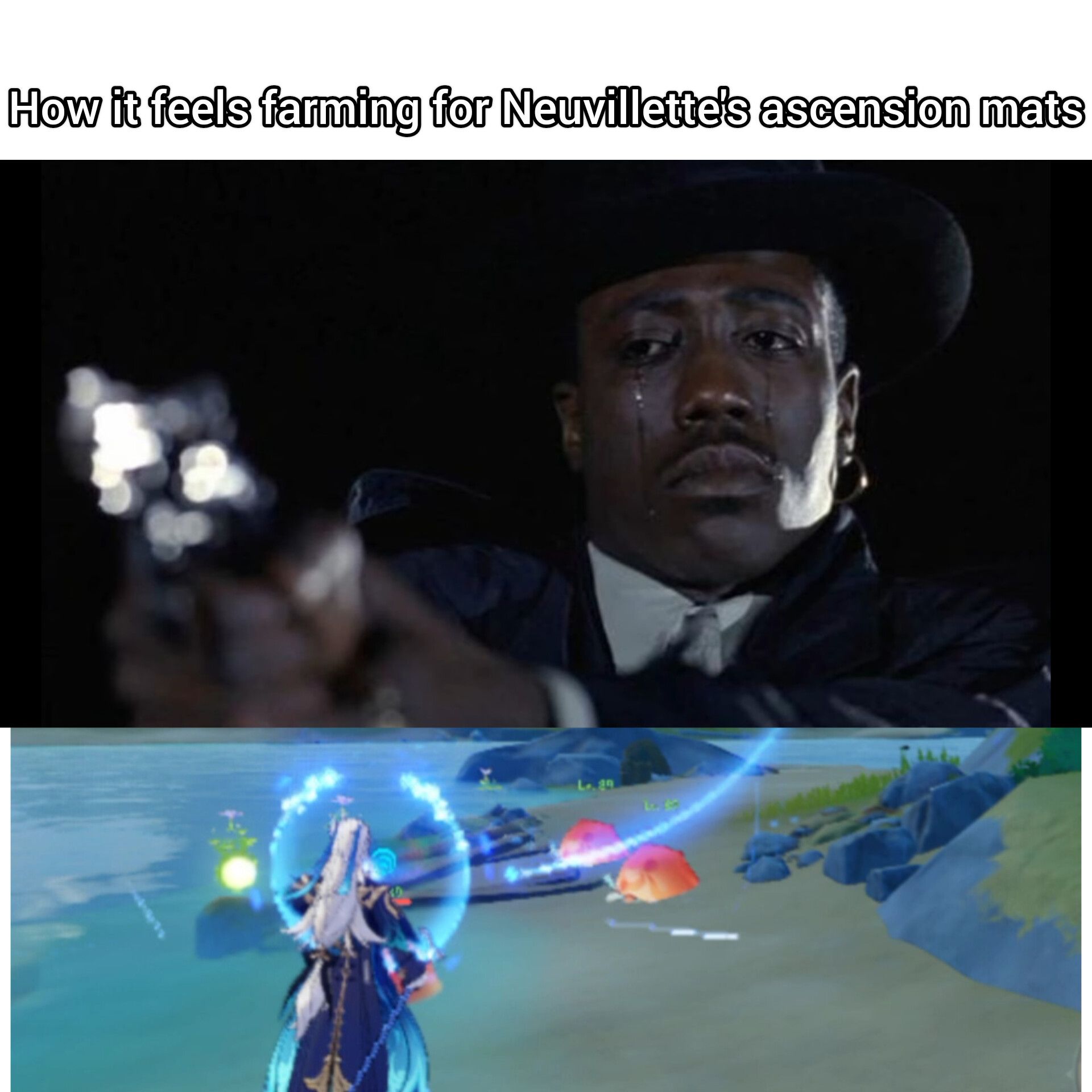 Farming for Neuvillette's ascension mats be like Genshin Impact | HoYoLAB