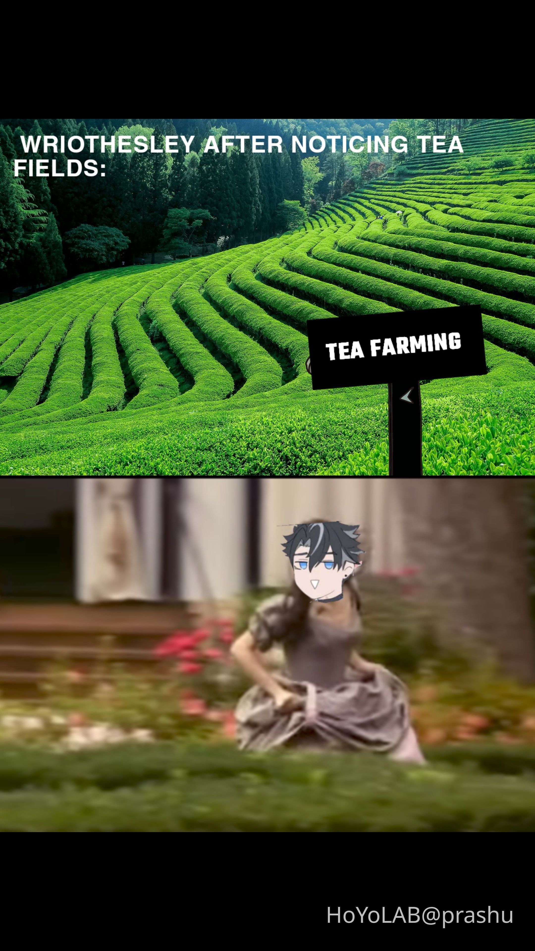 wriothesley tea addiction Genshin Impact | HoYoLAB