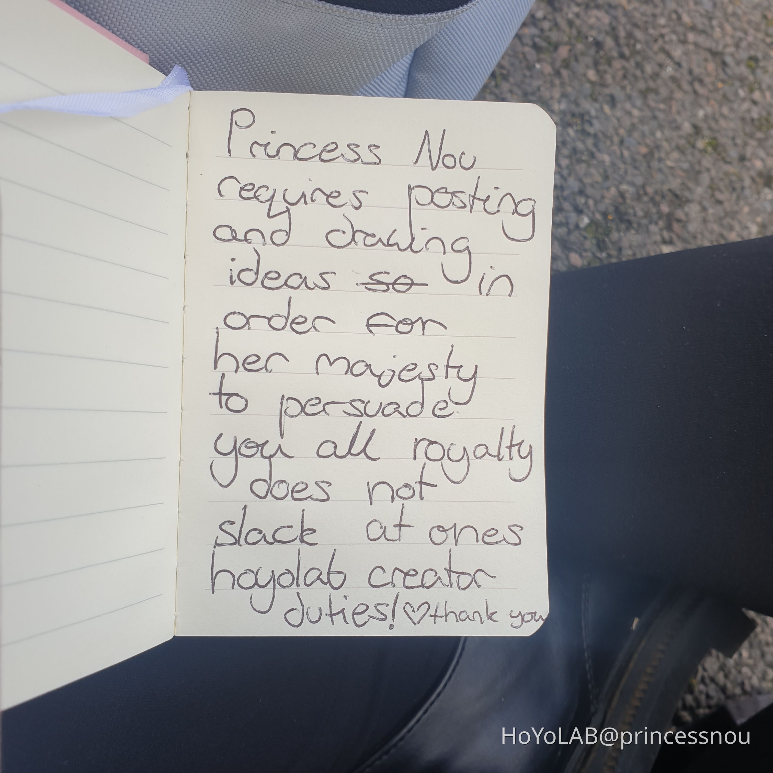 Royal messages from Princess to thou! | HoYoLAB