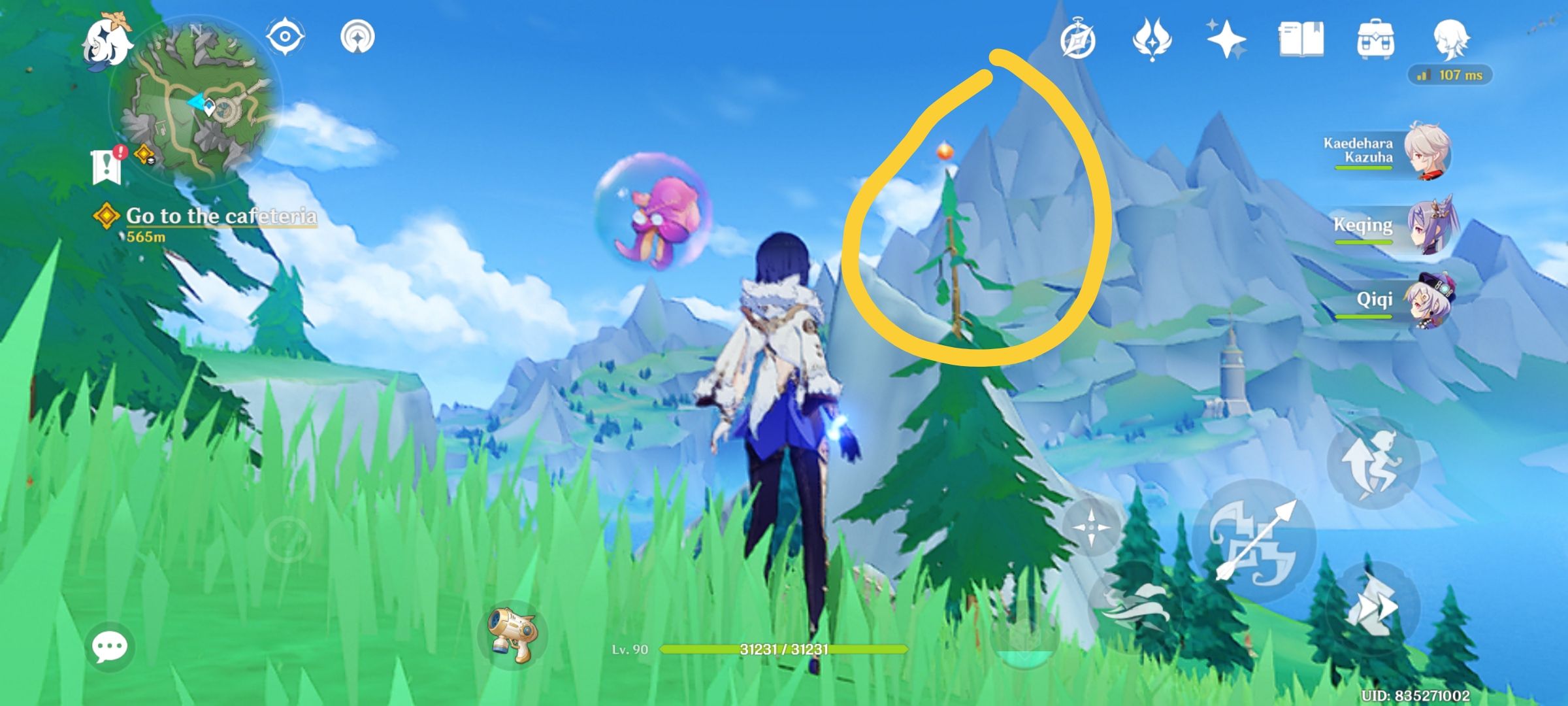 Bulle Fruit and Treasure | HoYoLAB