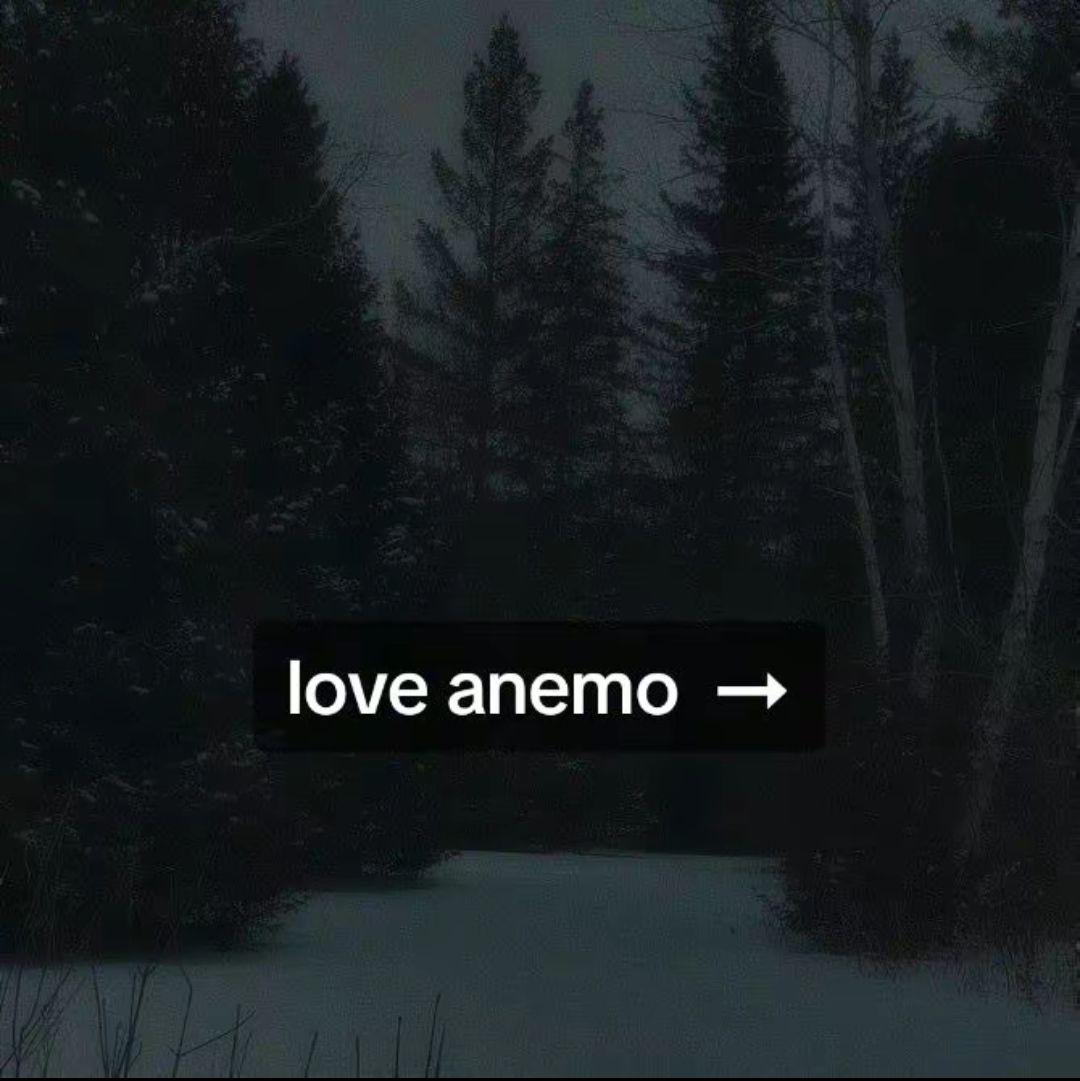 love anemo ☠️ Genshin Impact | HoYoLAB