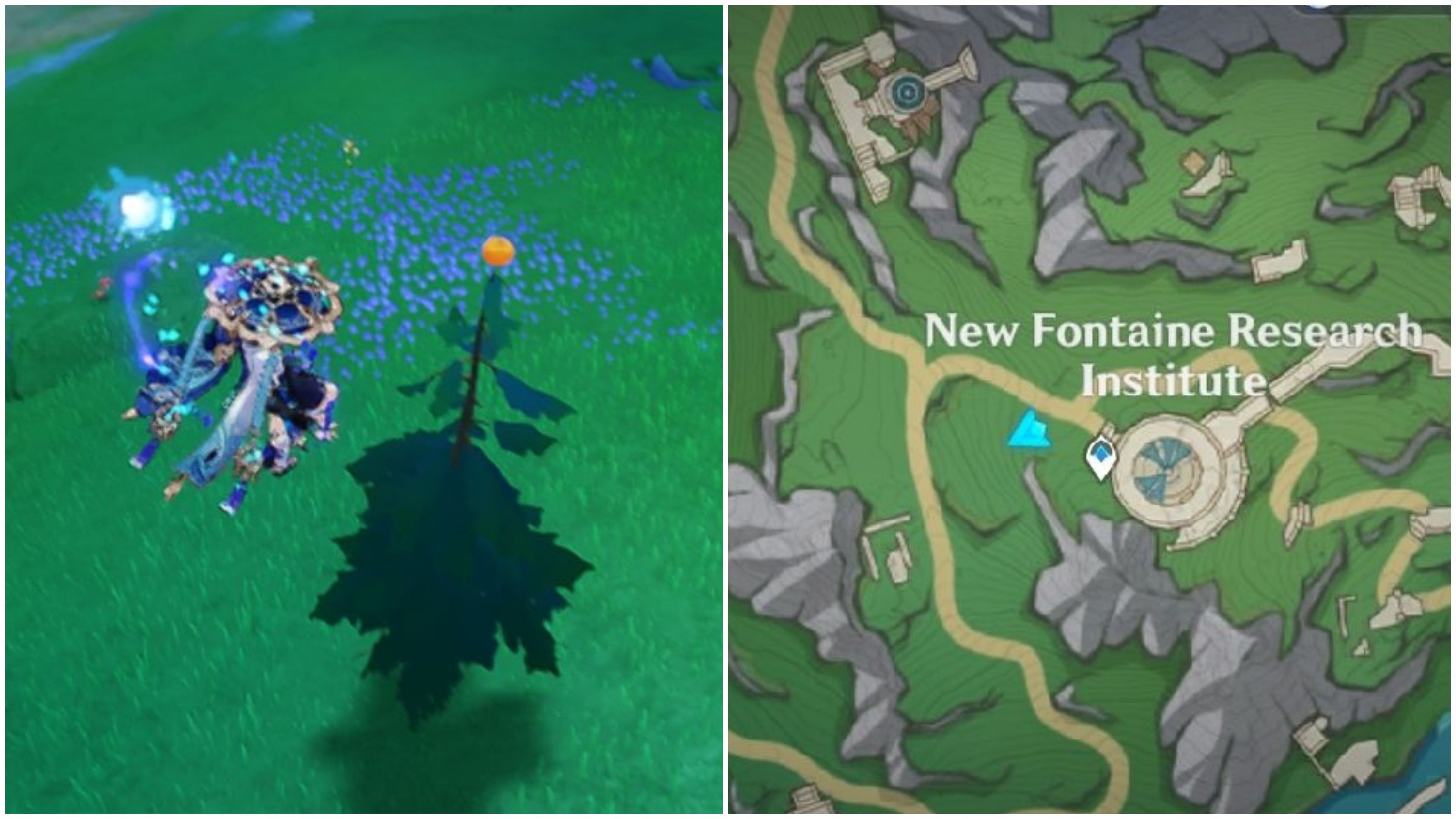 common chest tree Genshin Impact | HoYoLAB