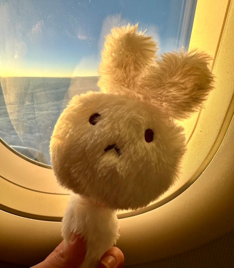 Dodoco adventure! Genshin Impact | HoYoLAB