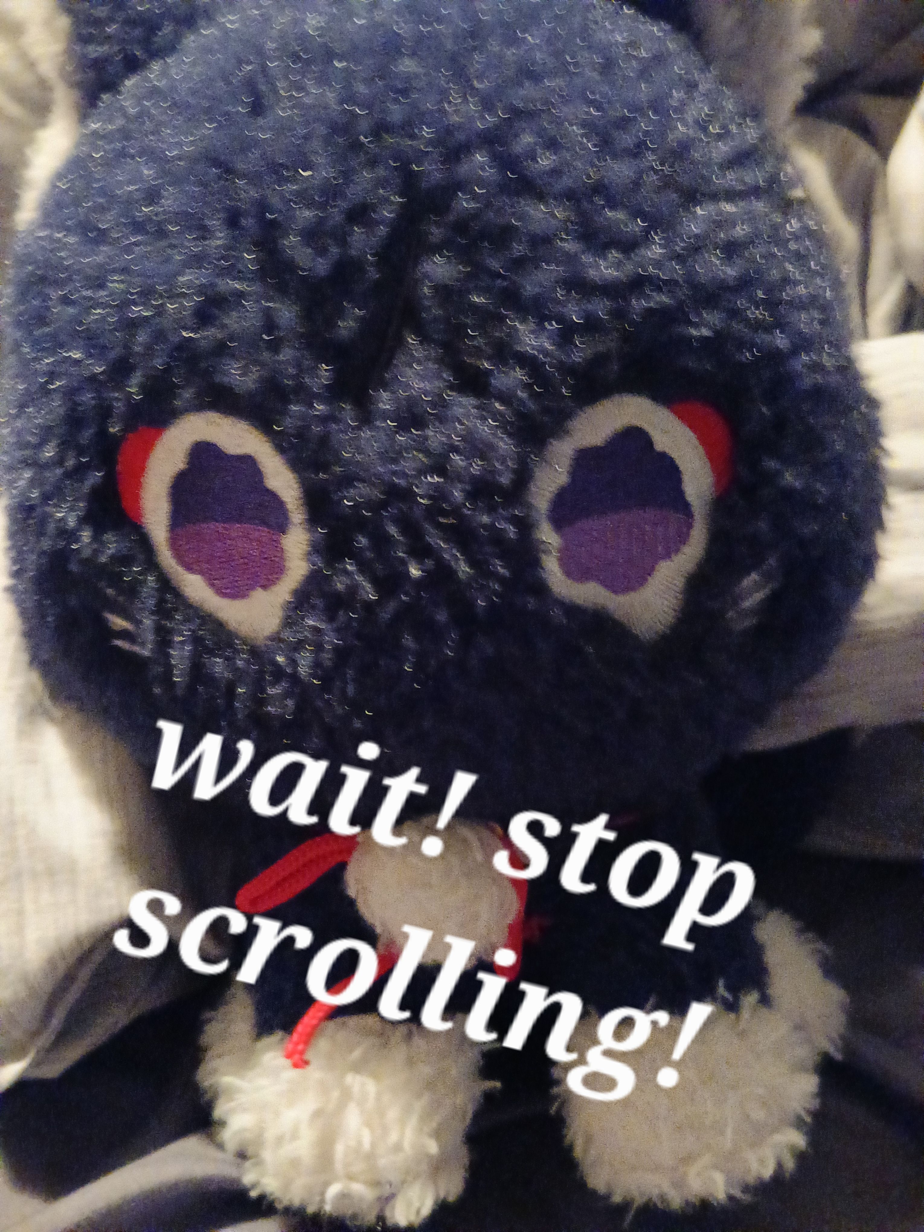 Wait! Stop scrolling! | HoYoLAB