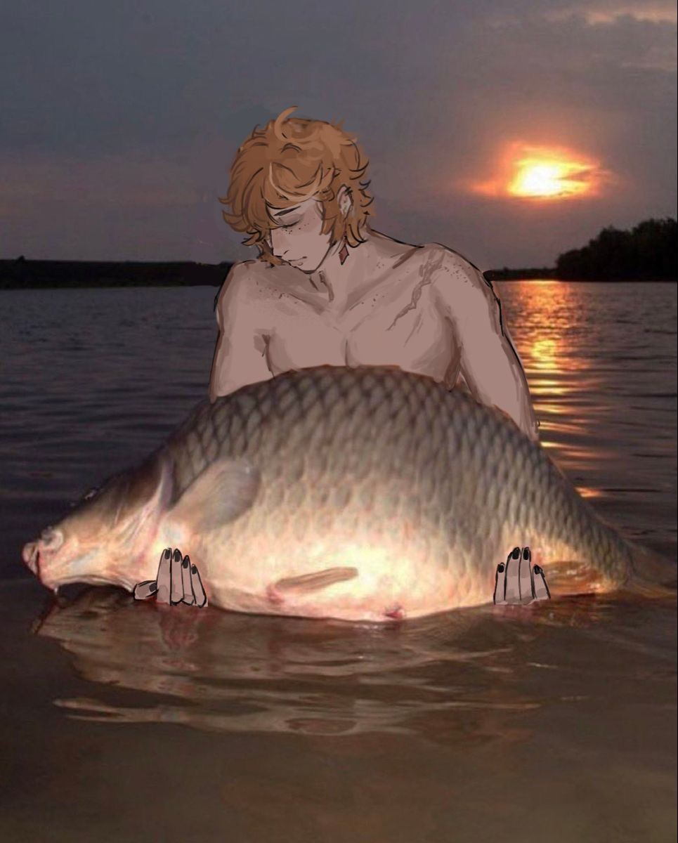 Fish Genshin Impact | HoYoLAB