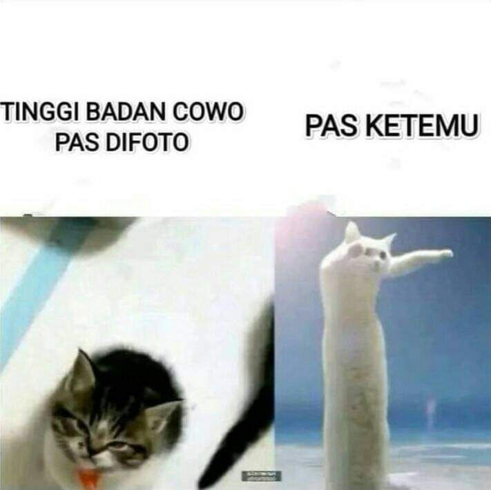 nggak juga sih 🤔 | HoYoLAB