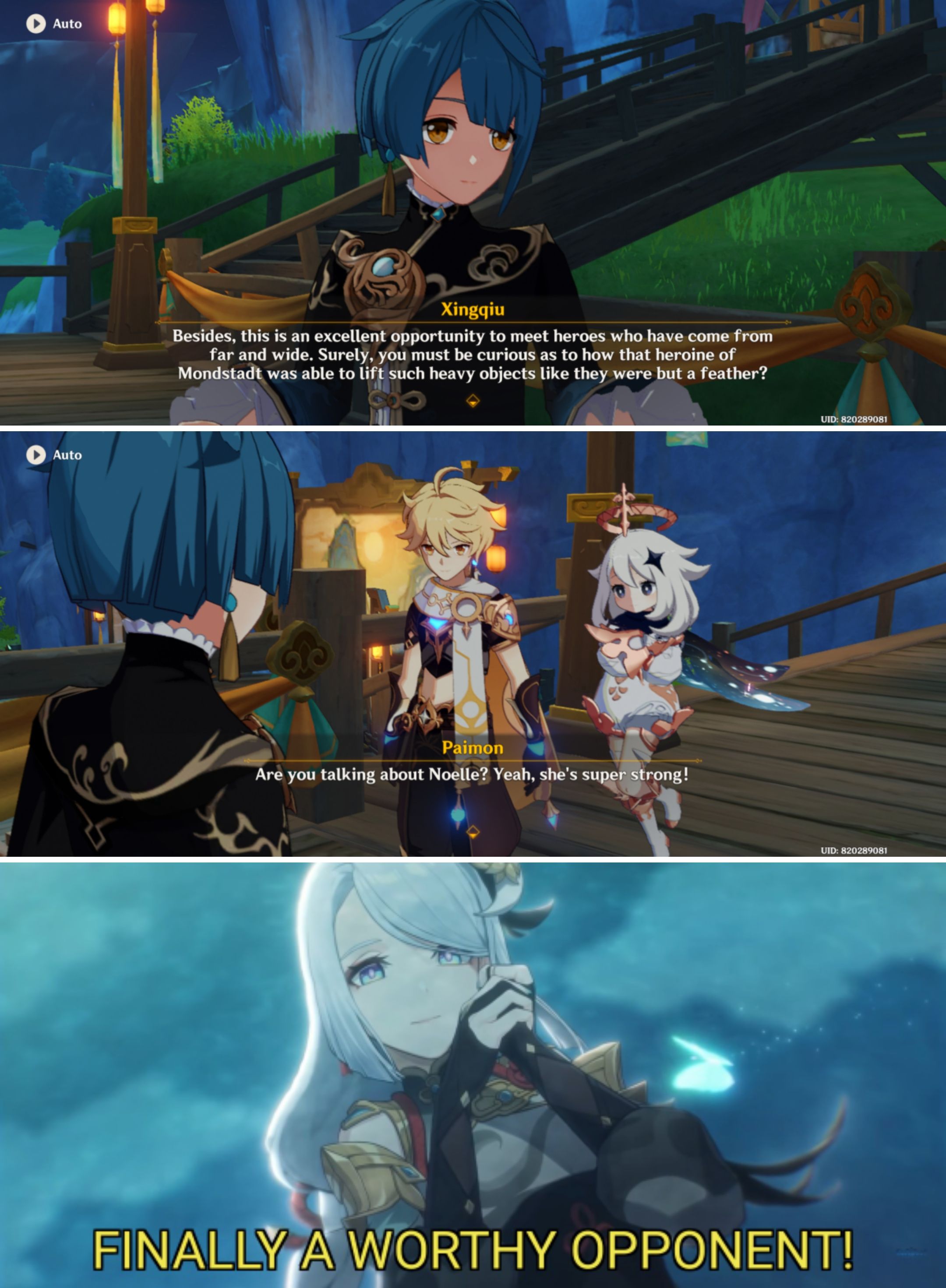 I absolutely need a in game Interaction between Noelle and Shenhe ...