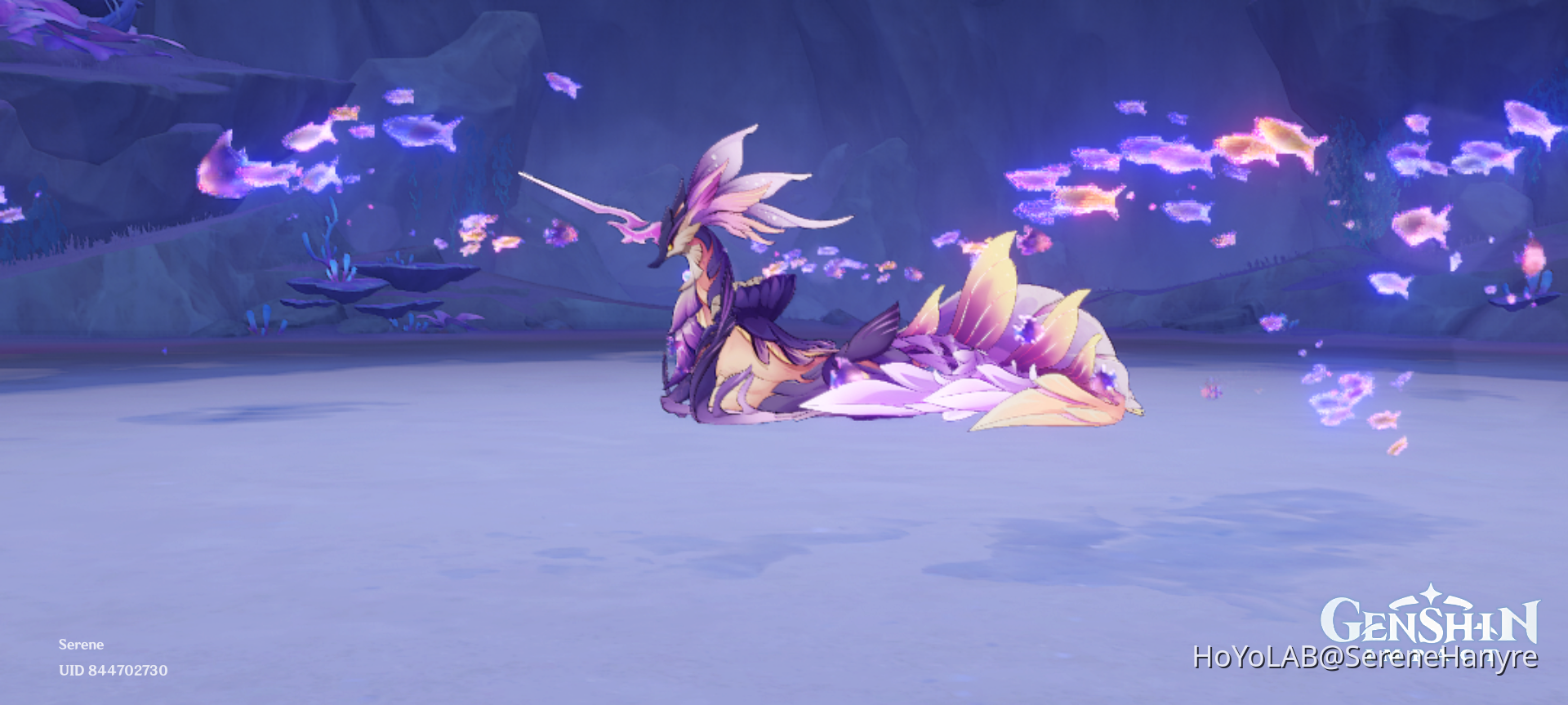 Pretty Boss Genshin Impact | HoYoLAB