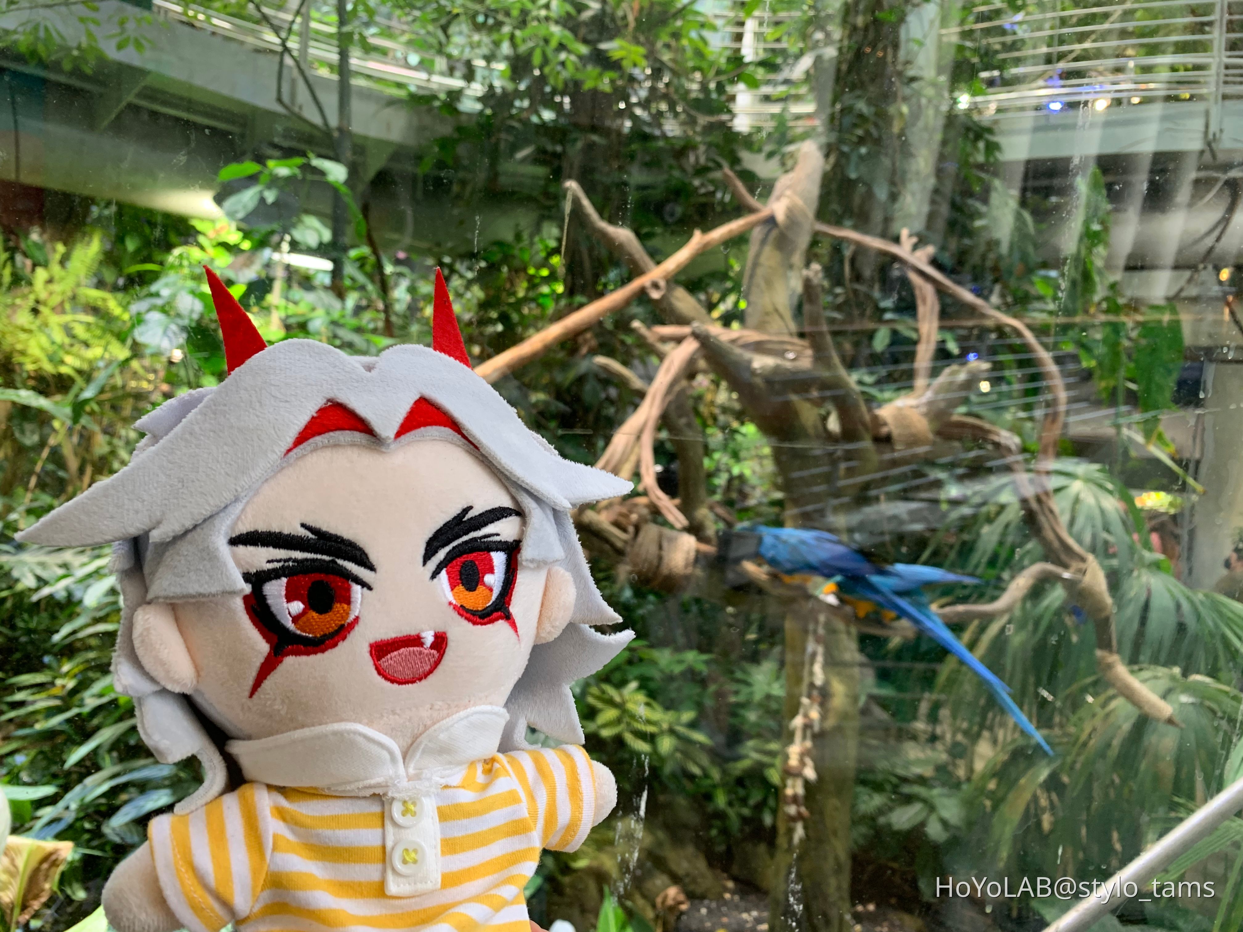 Reason #67: Why I love Itto Genshin Impact | HoYoLAB