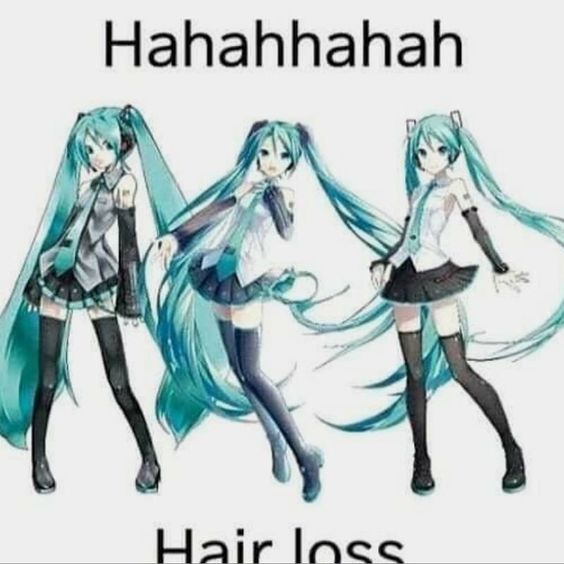 hairloss miku | HoYoLAB