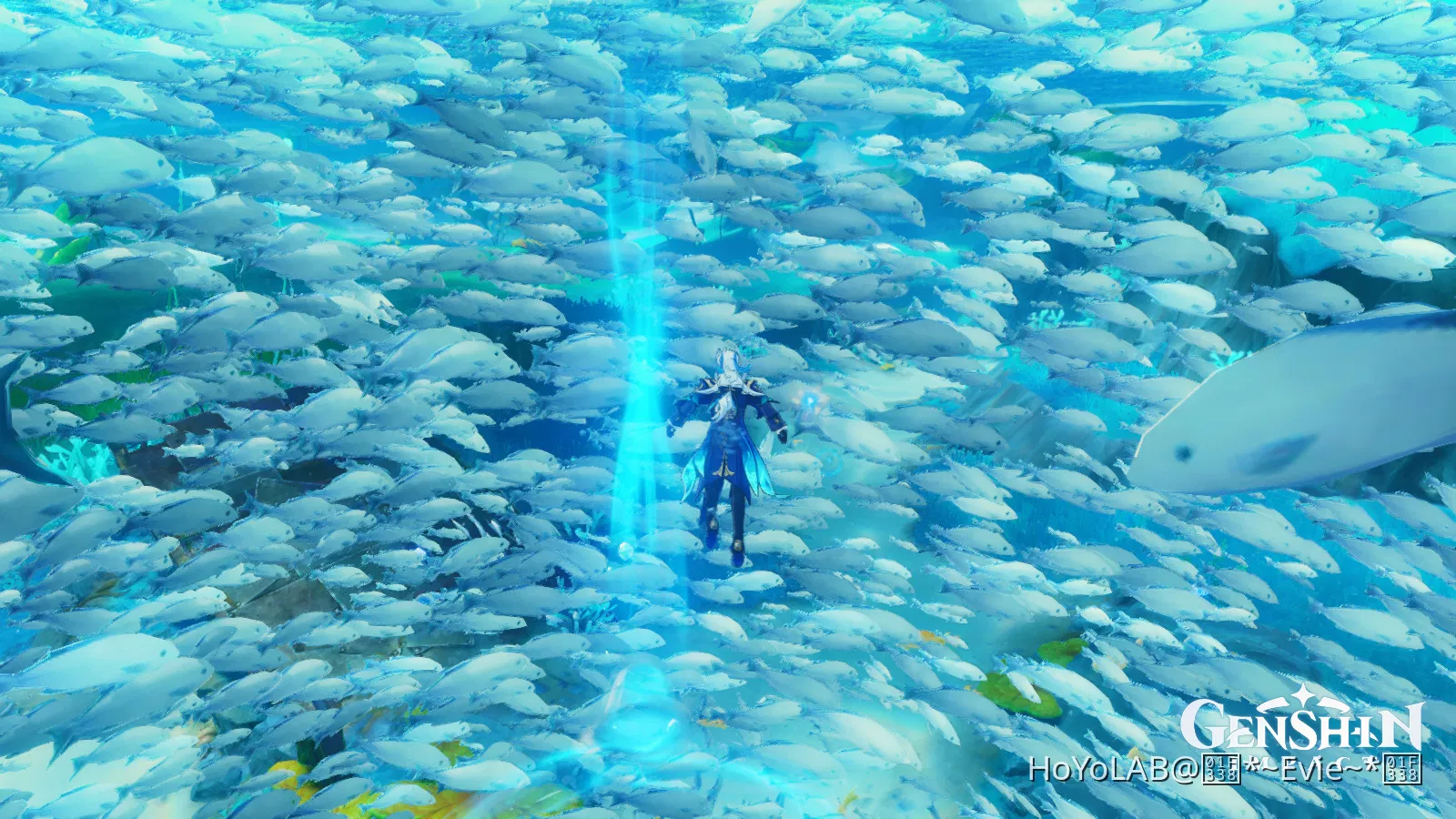 Forgot I left him in the Fishnado Genshin Impact | HoYoLAB