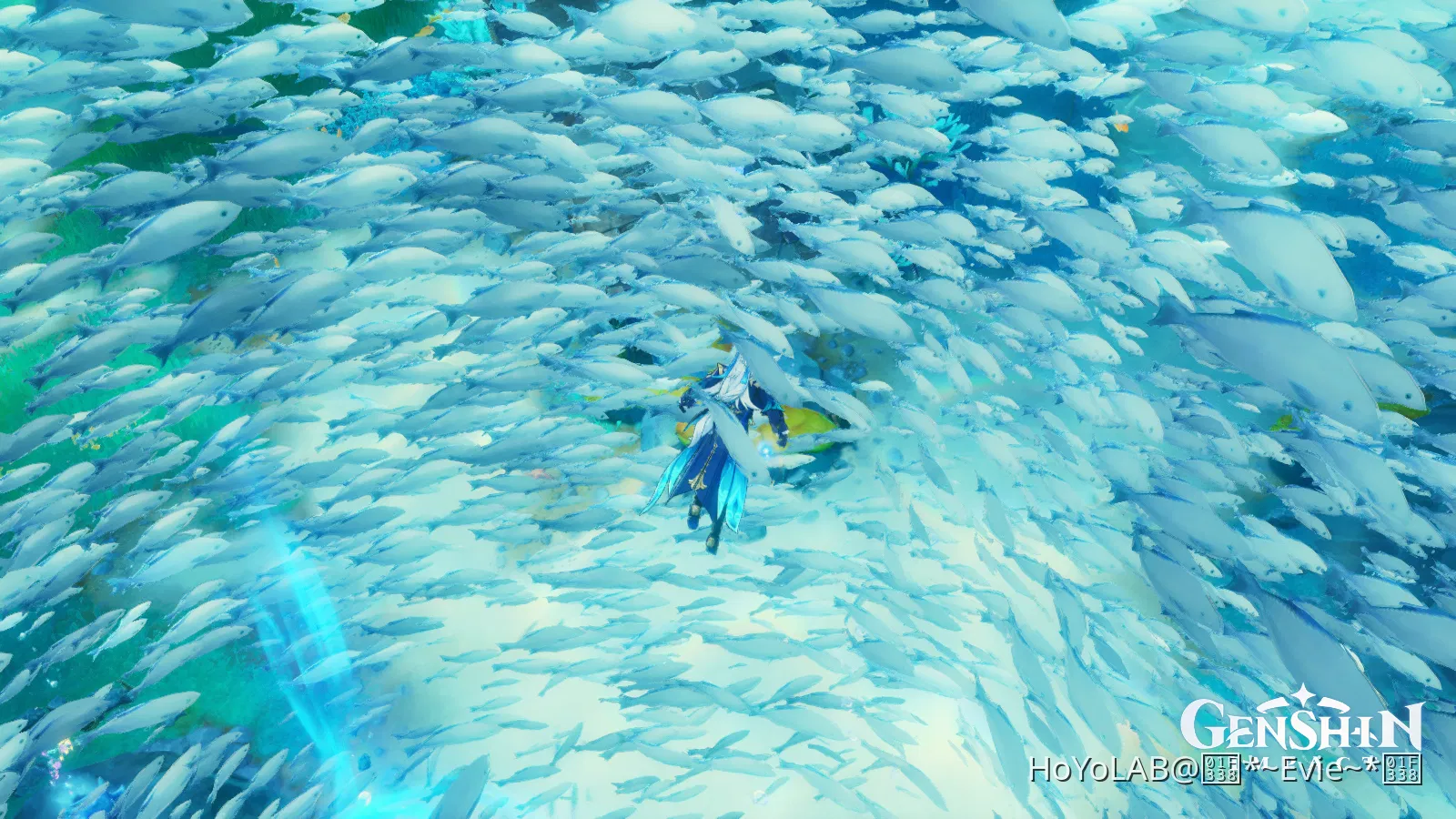 Forgot I left him in the Fishnado Genshin Impact | HoYoLAB