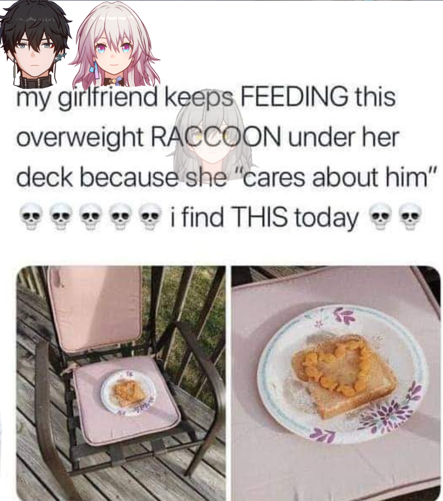 Stelle the raccoon Honkai: Star Rail | HoYoLAB