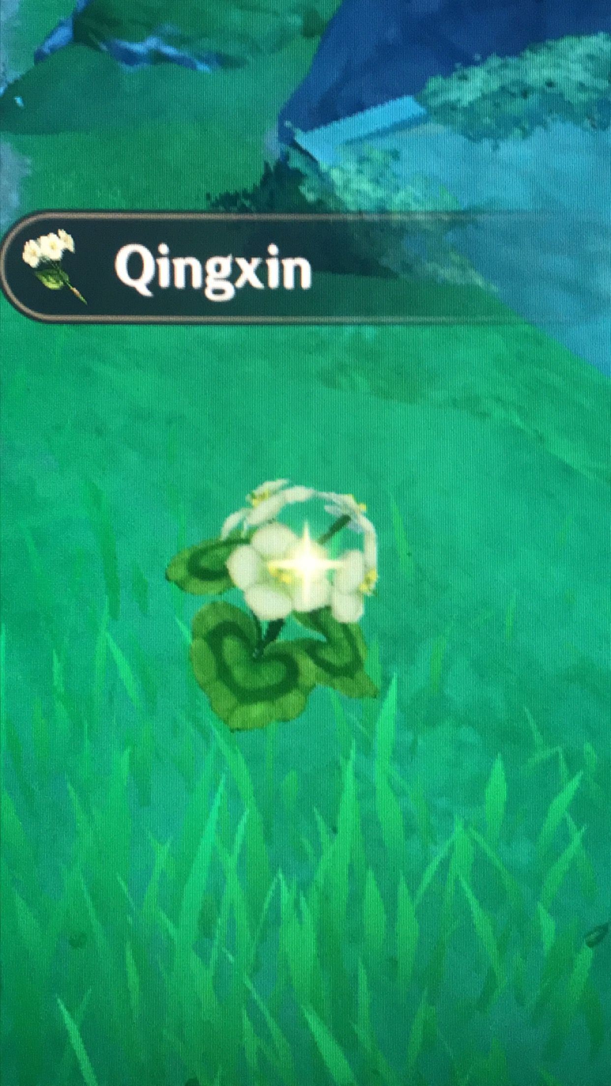 I don't know if anyone else noticed, but qingxin has hearts both as ...