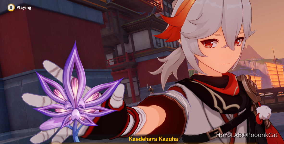 Kazuha Found the Naku Weed Genshin Impact | HoYoLAB