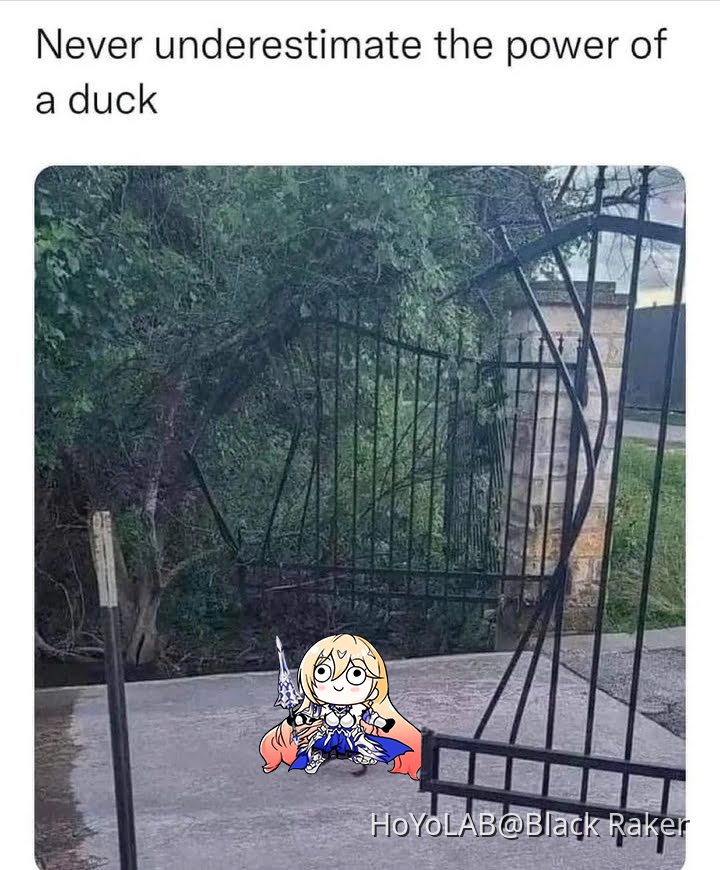 Duck power Honkai Impact 3rd | HoYoLAB