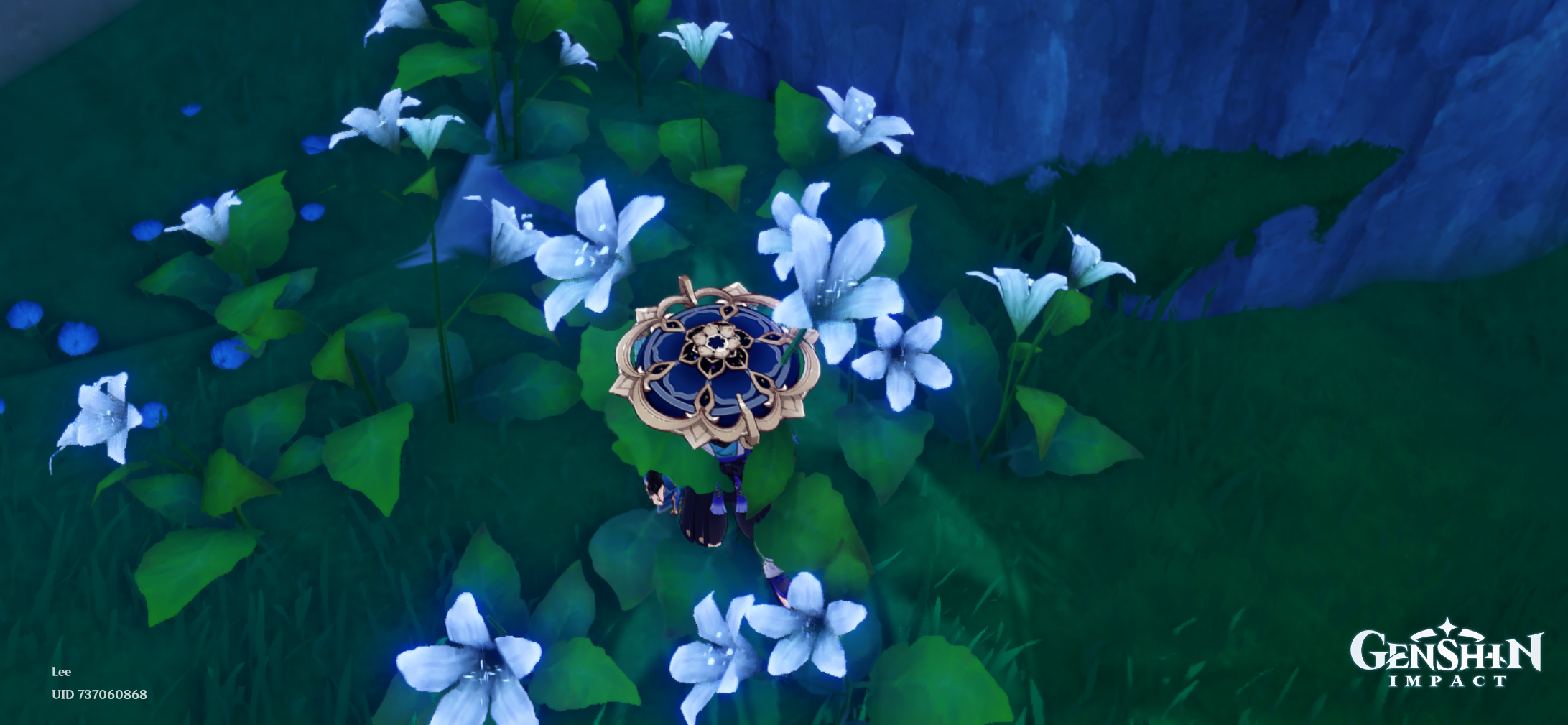 Scara’s hat adventure IV Genshin Impact | HoYoLAB