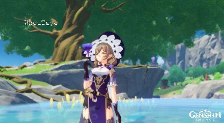 As suggested here you have it! A picture from Windrise! 📸 Genshin ...