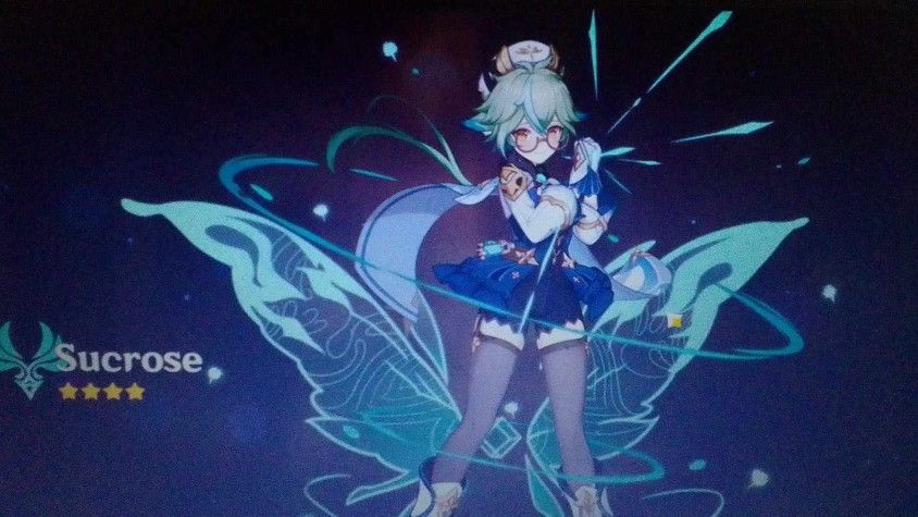 Got Sucrose on standard🥳🍃 Genshin Impact | HoYoLAB