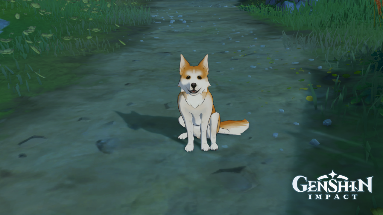 DOGE! Genshin Impact | HoYoLAB