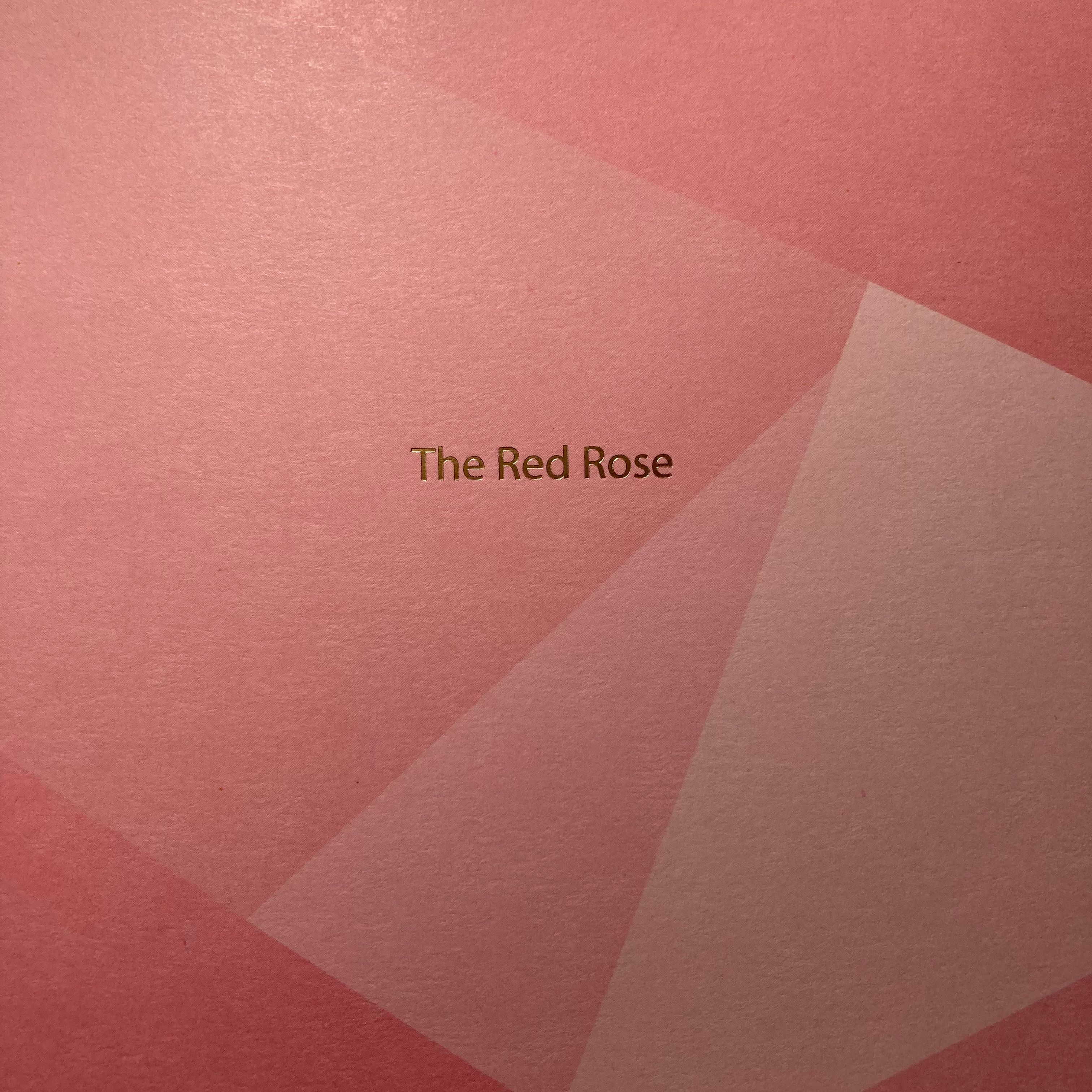 bought this notebook js bcs it said 'red rose' which is vyns nickname ...