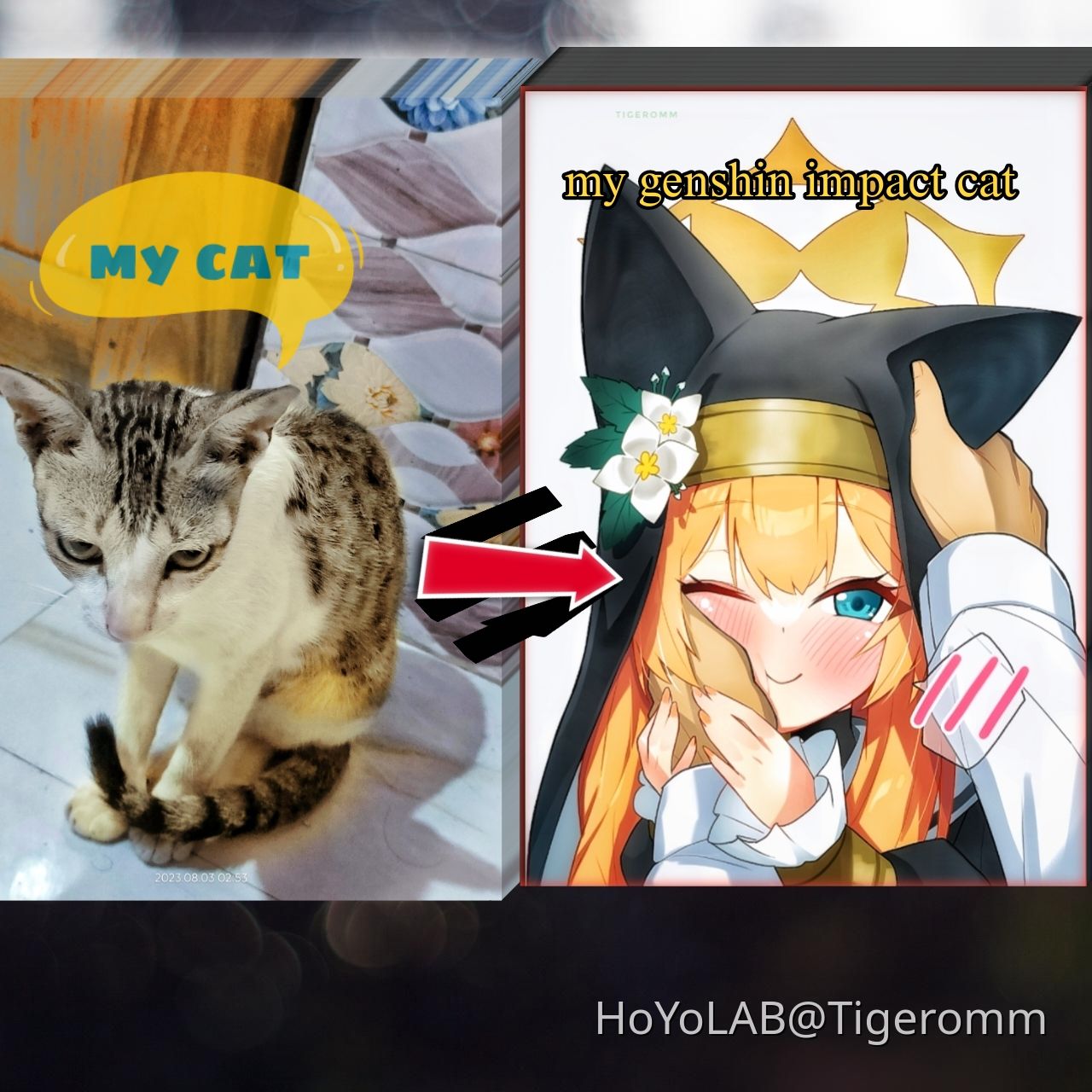 real cat . game cat 👍😁 Genshin Impact | HoYoLAB