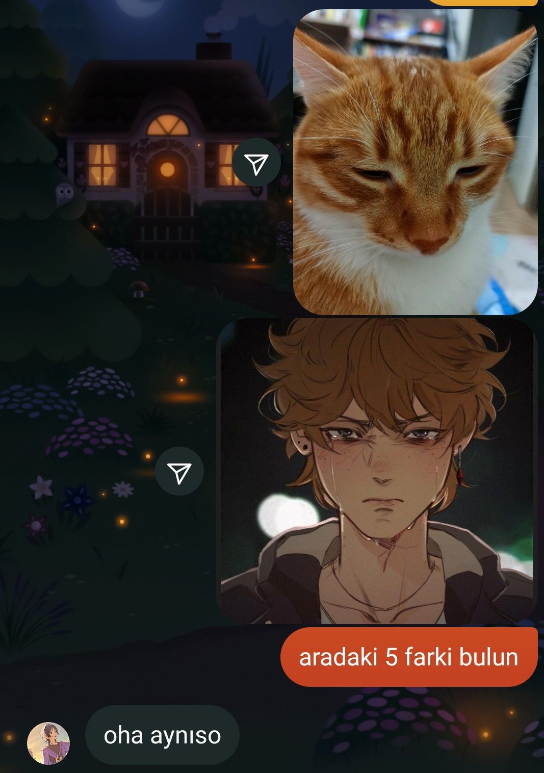 aradaki 5 farkı bulun Genshin Impact | HoYoLAB