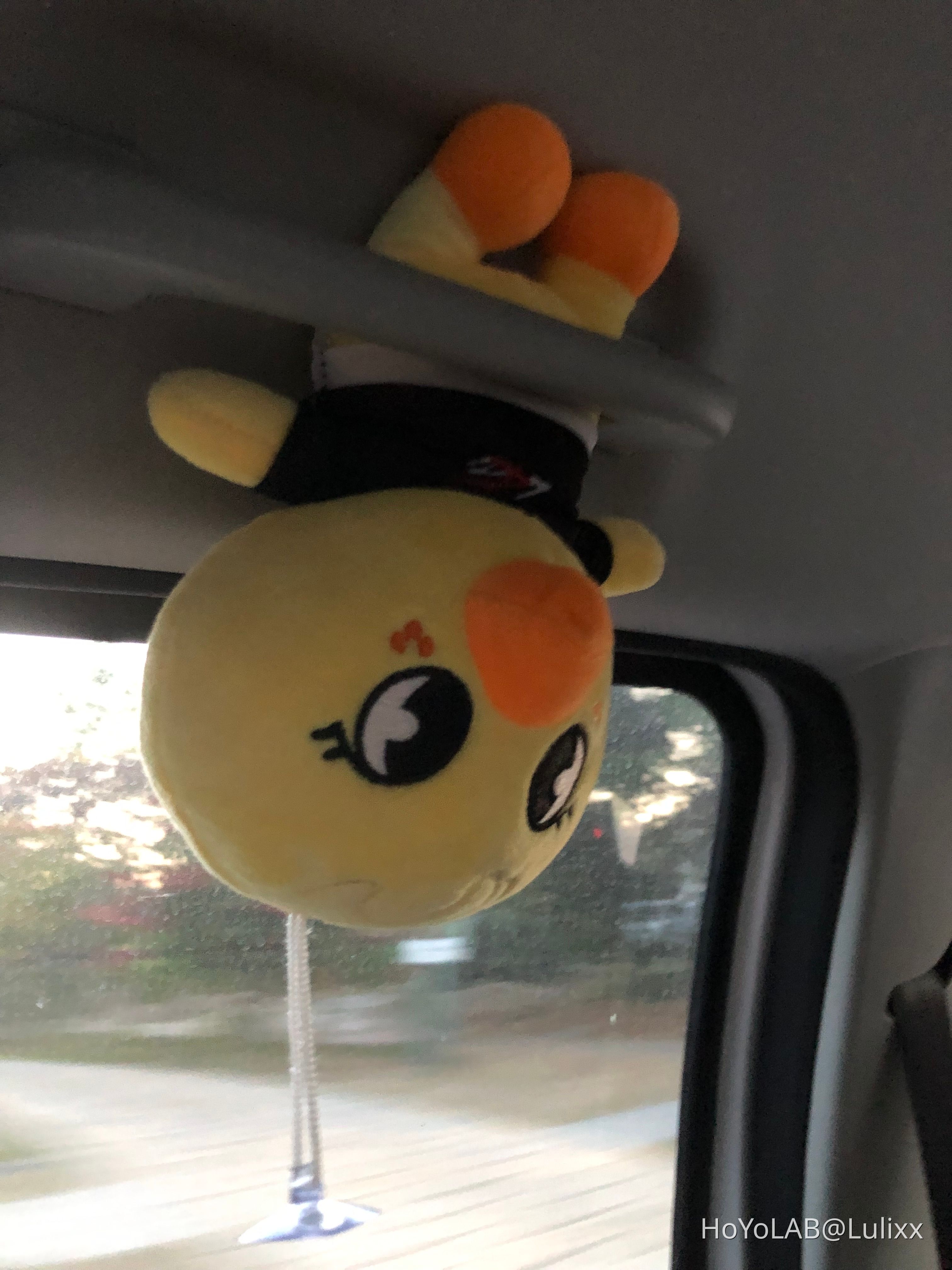 Bbokari adventures! | HoYoLAB