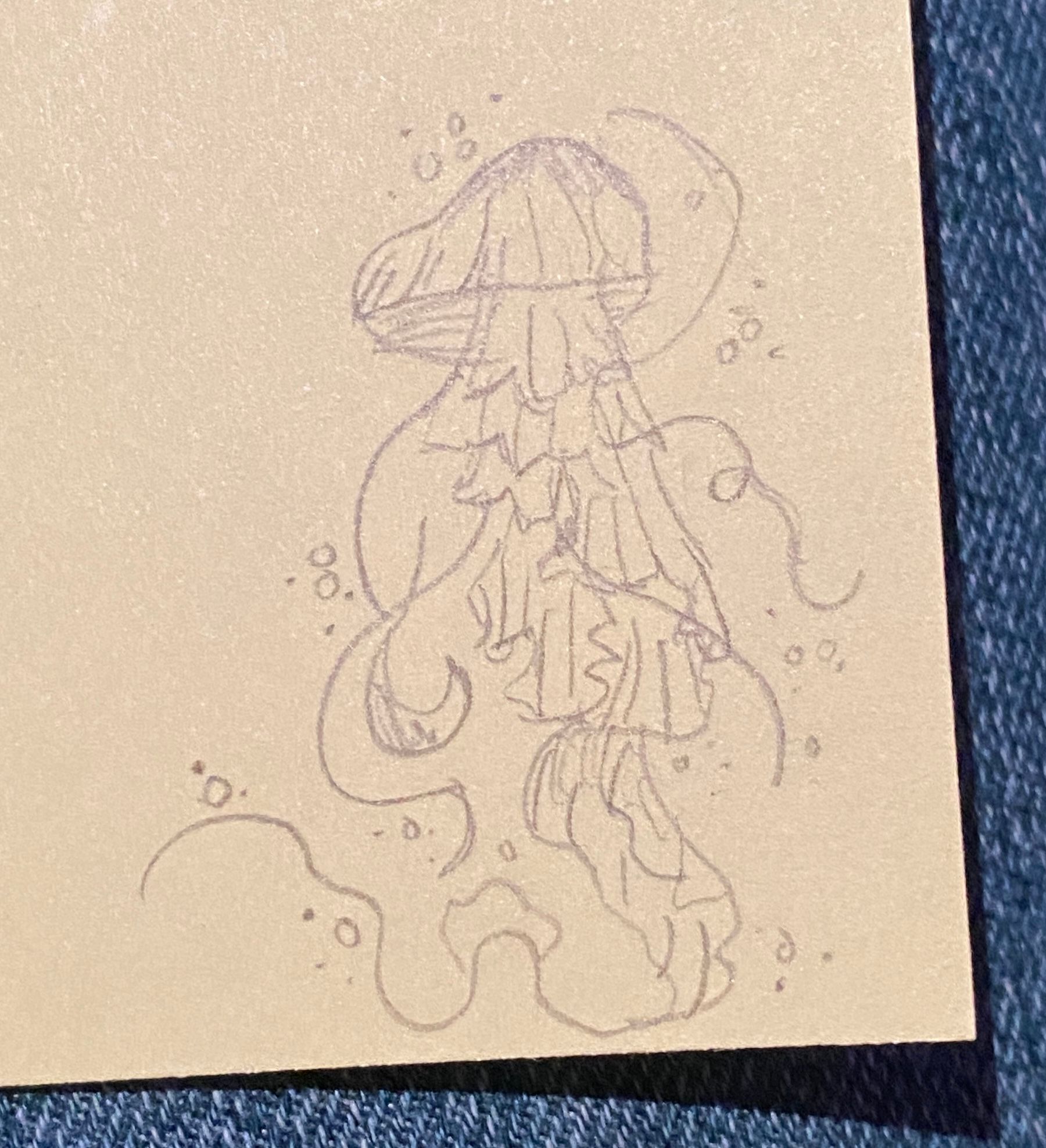 I drew a Jellyfish 🪼 | HoYoLAB