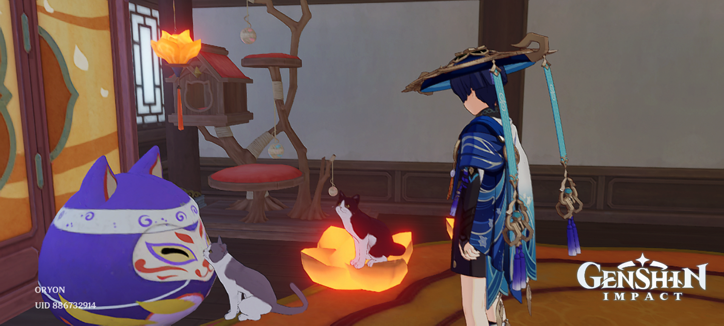 Cats!!!! Genshin Impact | HoYoLAB