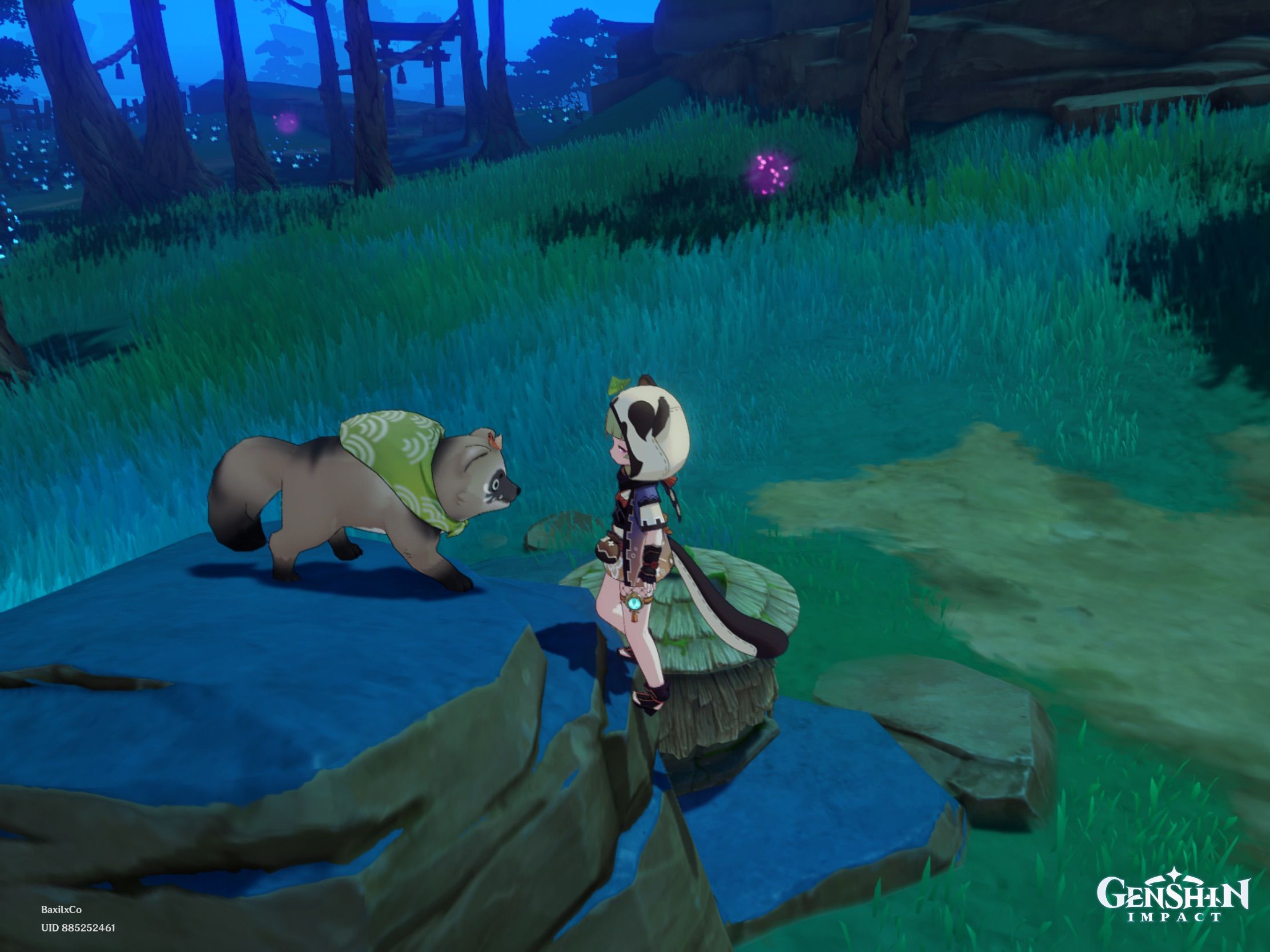 Tanuki and Ninja Genshin Impact | HoYoLAB