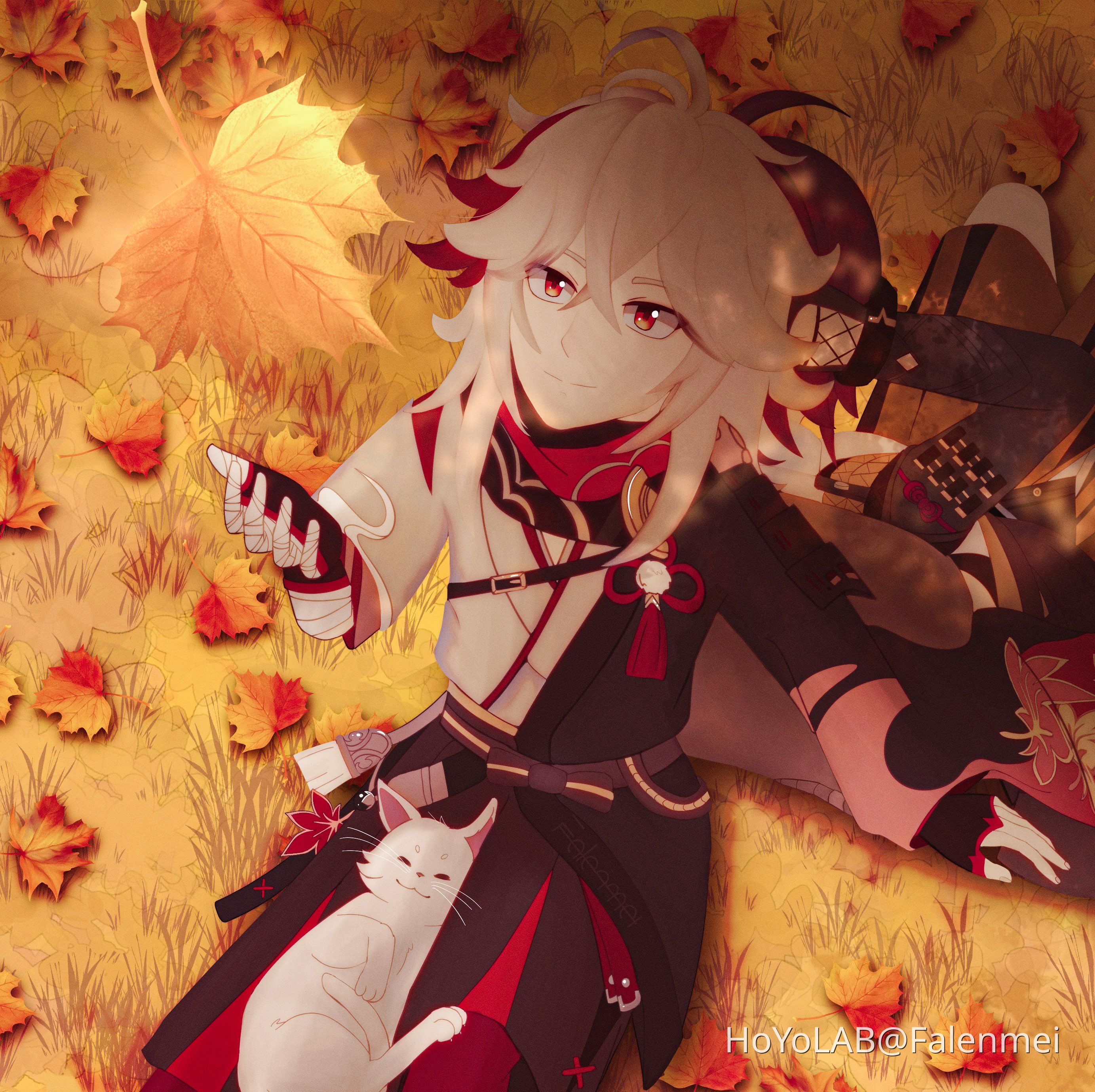 Autumn leaves, friends and a special day Genshin Impact | HoYoLAB