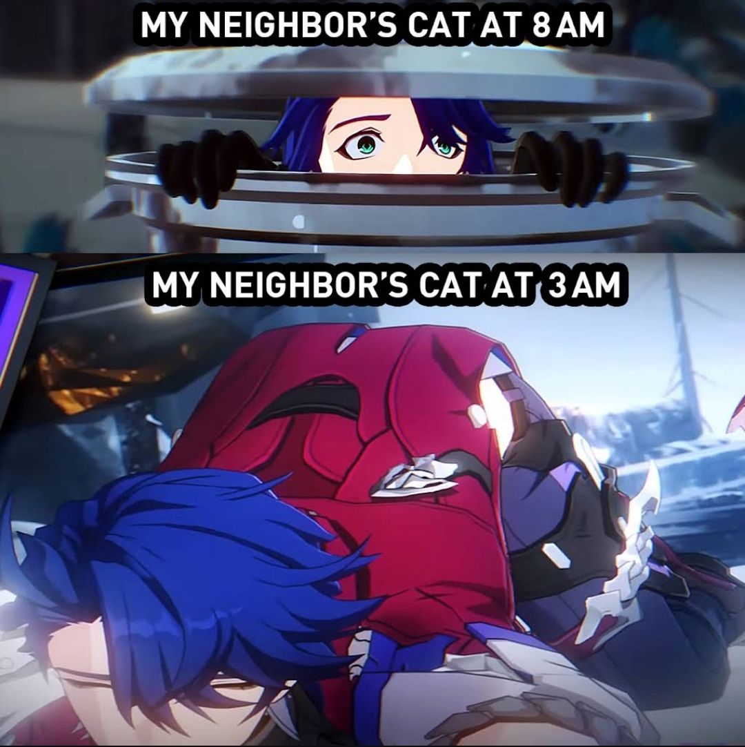 who's cat is this? Go get your cat Honkai: Star Rail | HoYoLAB