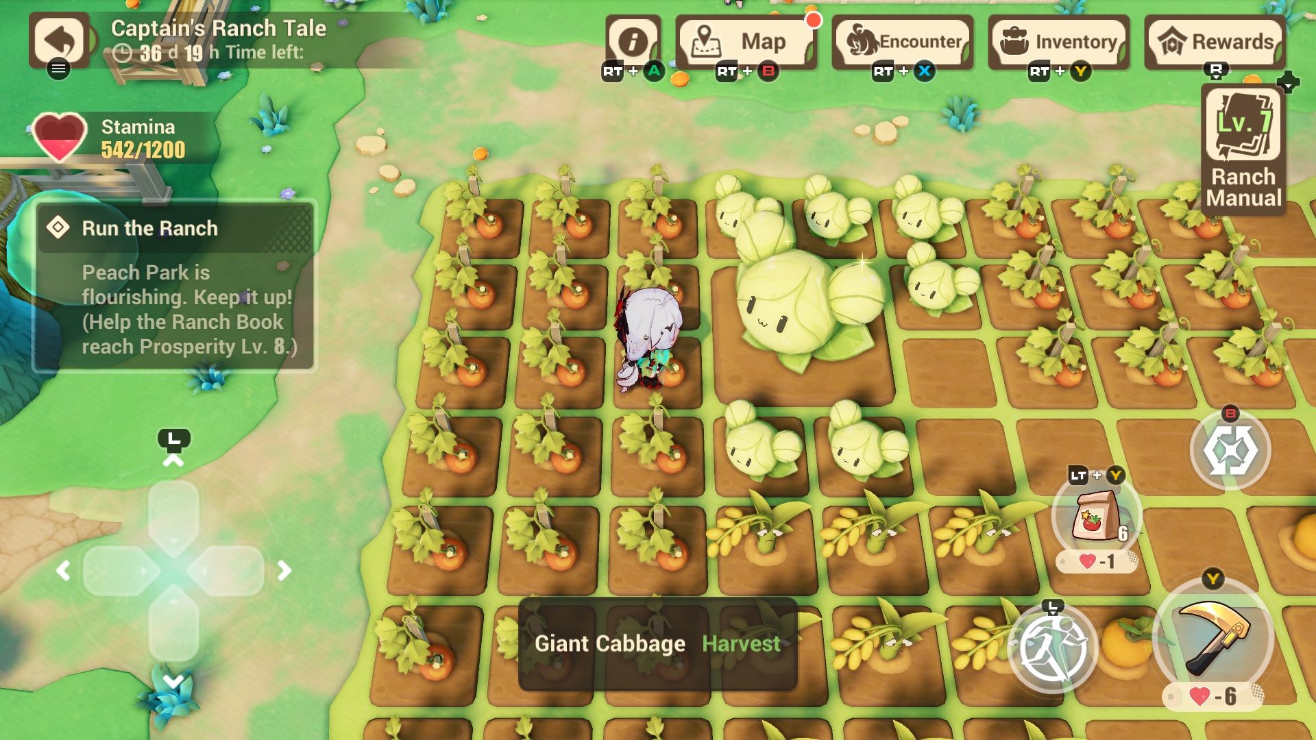 Ai-chan would be proud. Hail the Cabbage! \(^-^)/ Honkai Impact 3rd ...