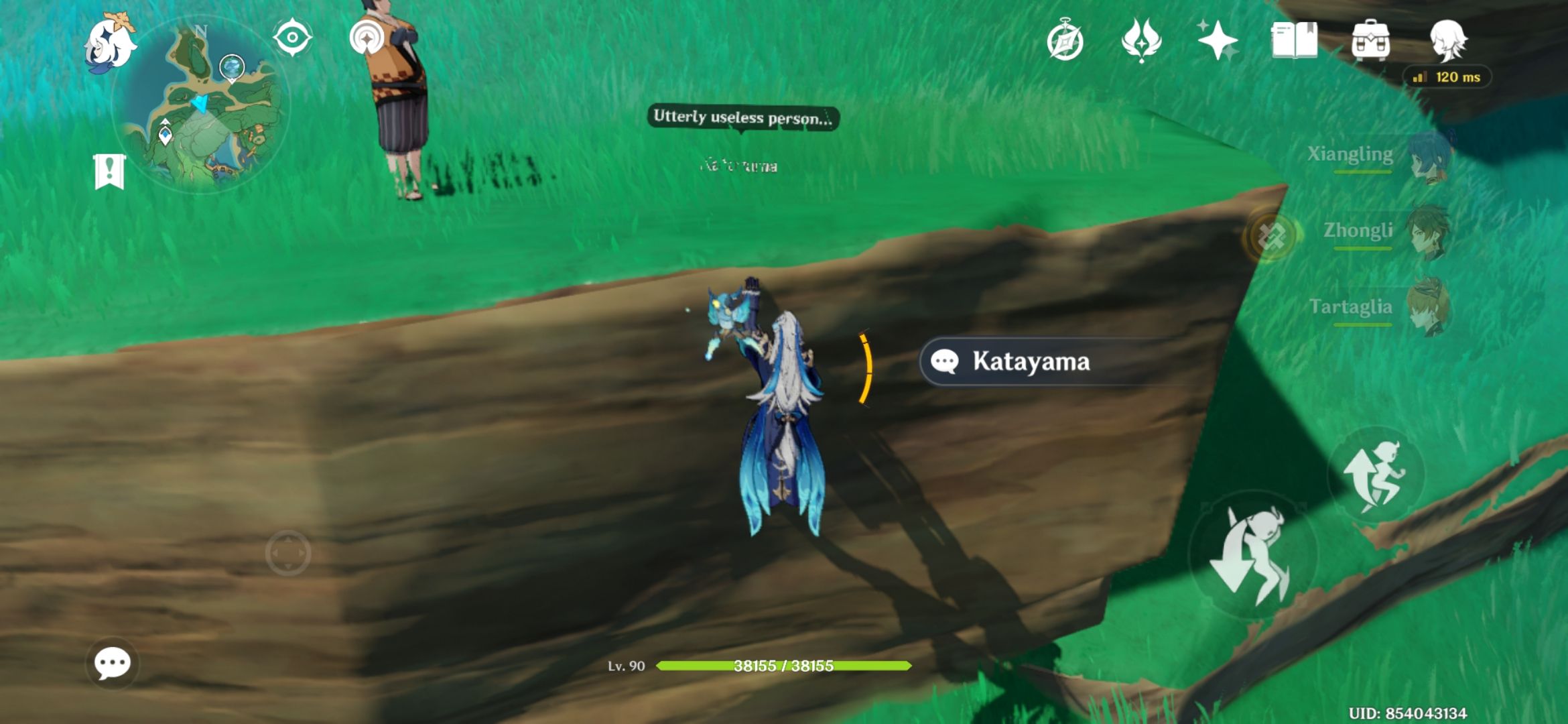 Utterly Useless Person Genshin Impact | HoYoLAB