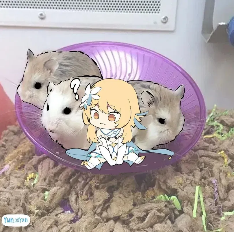 Memes Genshin Impact | HoYoLAB