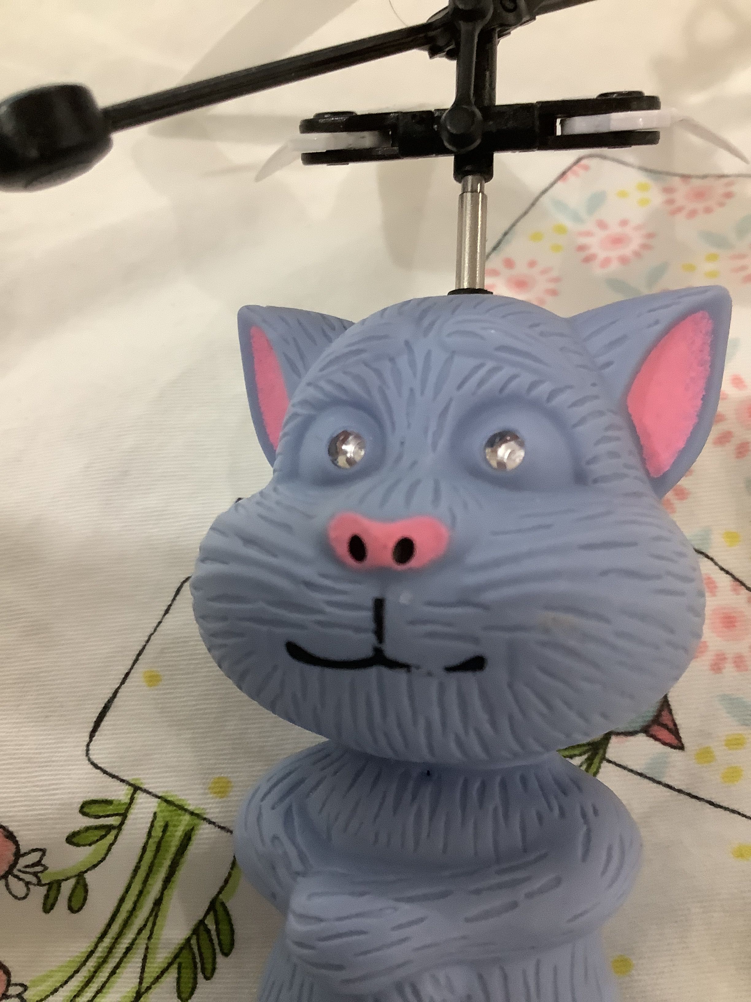 Smurf cat | HoYoLAB
