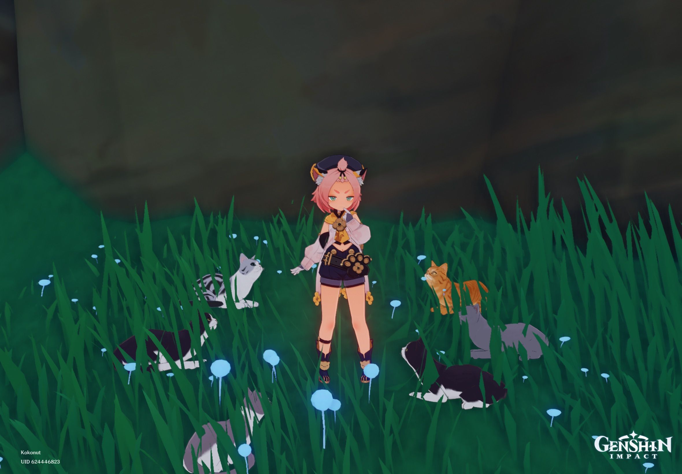 Diona in a circle of cats! Genshin Impact | HoYoLAB