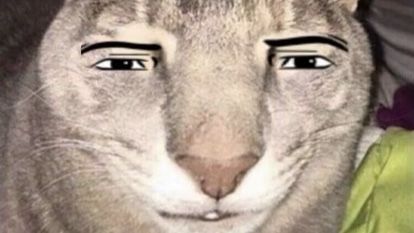 I’m back goobie snooberts (sort of) | HoYoLAB