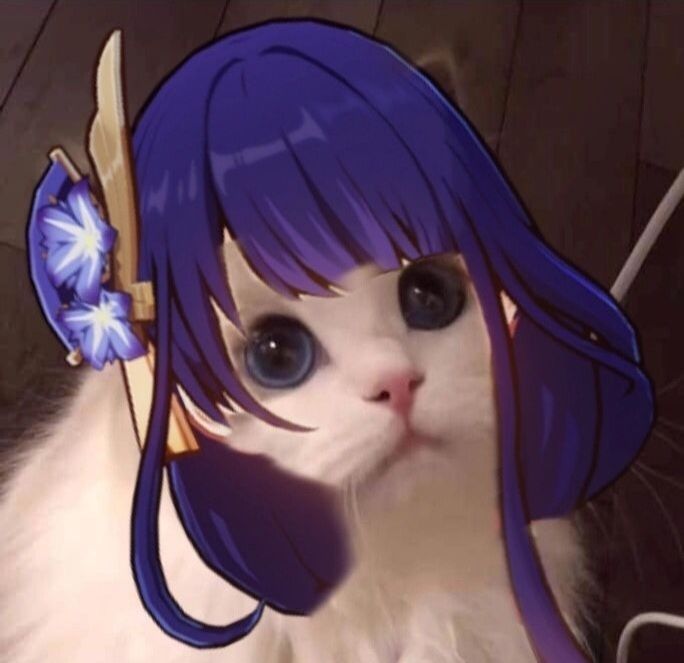 😺nya Genshin Impact | HoYoLAB