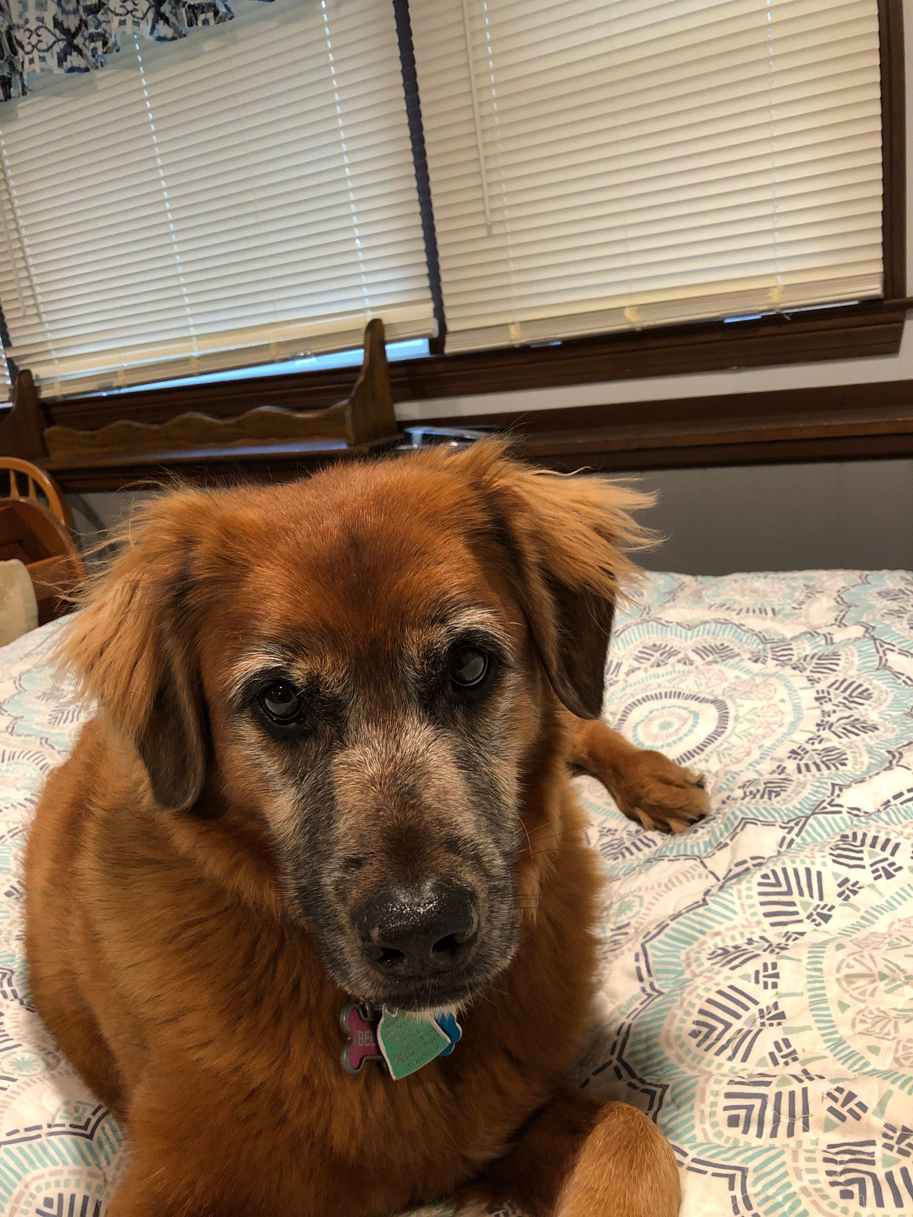 Q&A TIME!!!! | HoYoLAB