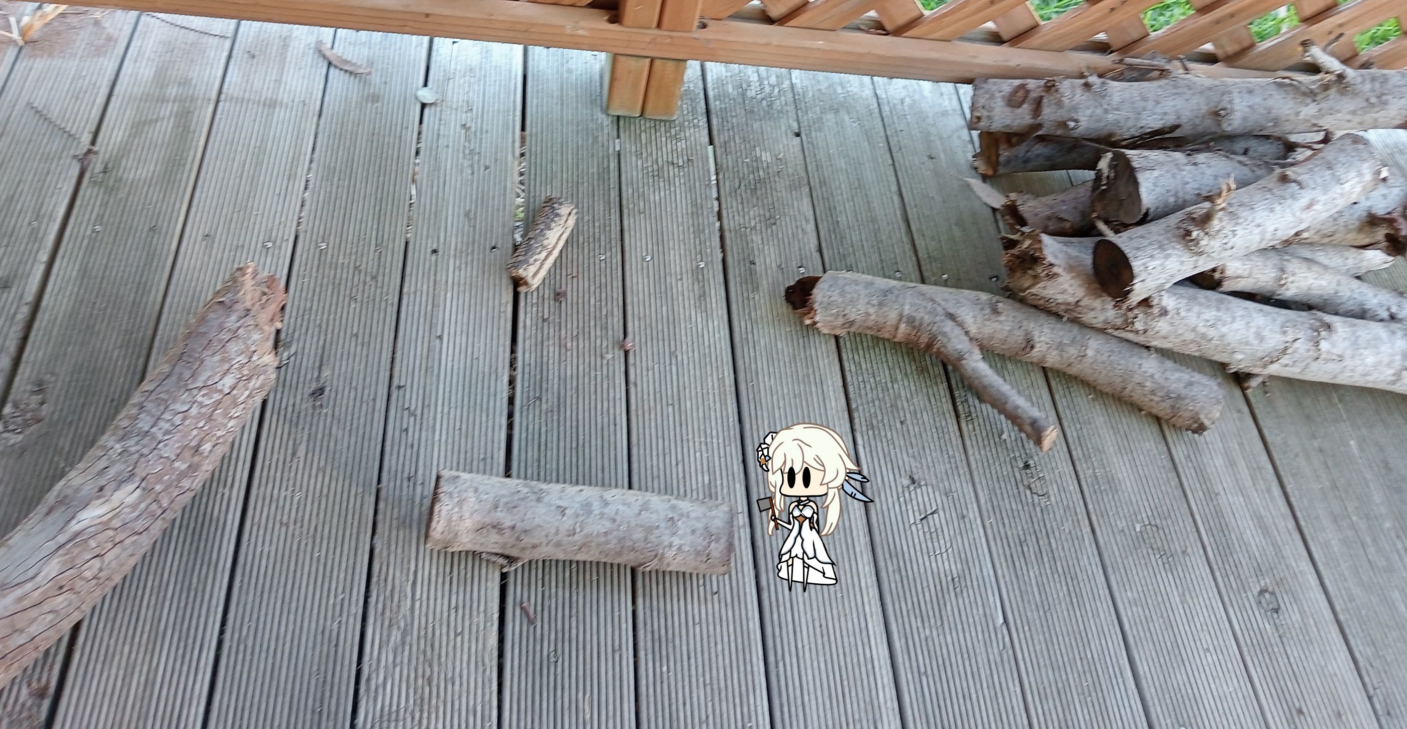 Wood XD Genshin Impact | HoYoLAB