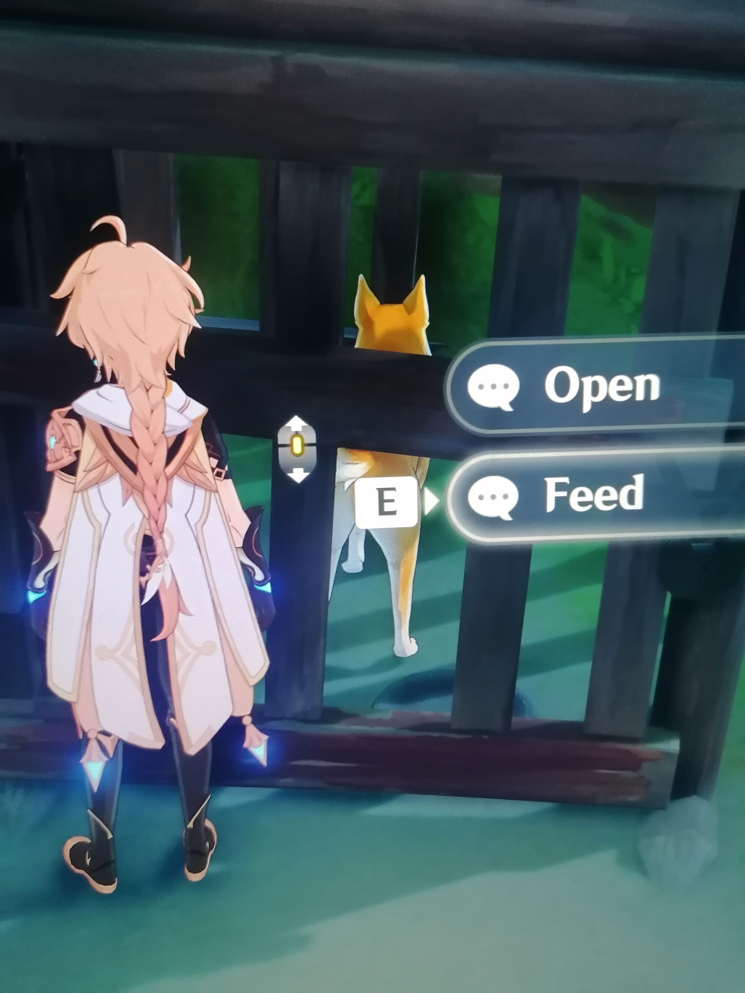 you can feed this dog in inazuma. Genshin Impact | HoYoLAB