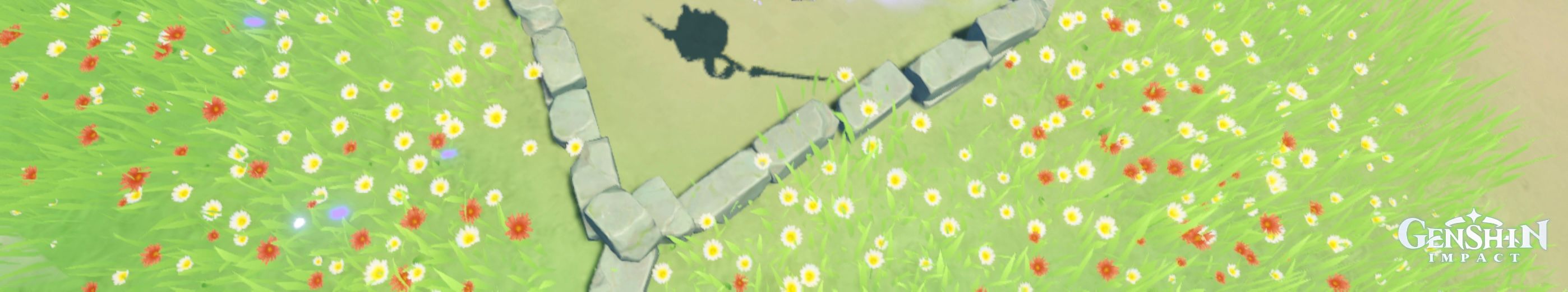 [Genshin Shadow Challenge #21] Who’s That Character? Genshin Impact ...