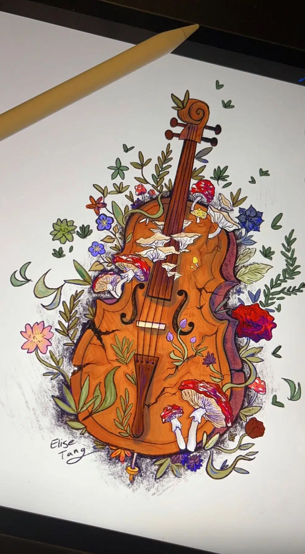 cello case stickers