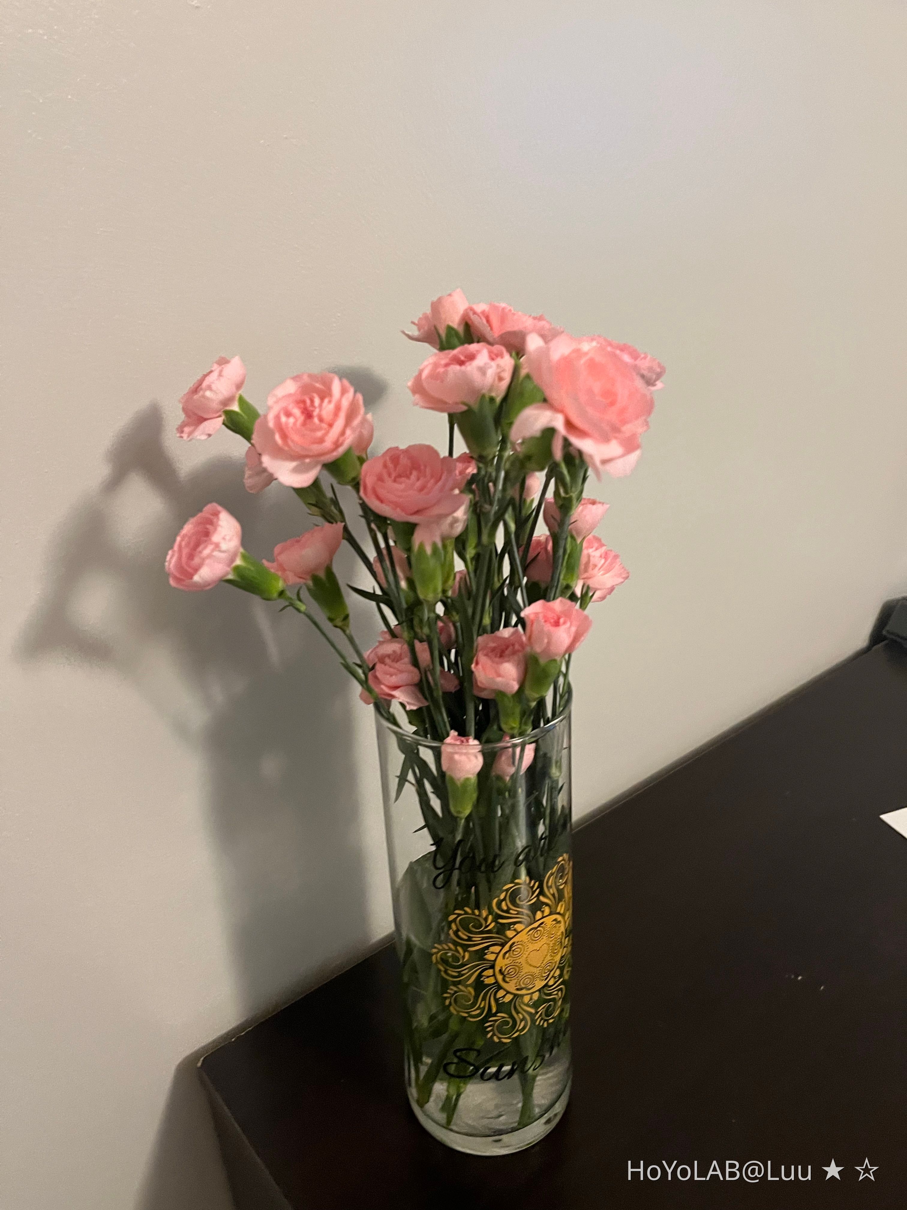 Day one of growing some flowers till Lyneys rerun Genshin Impact | HoYoLAB